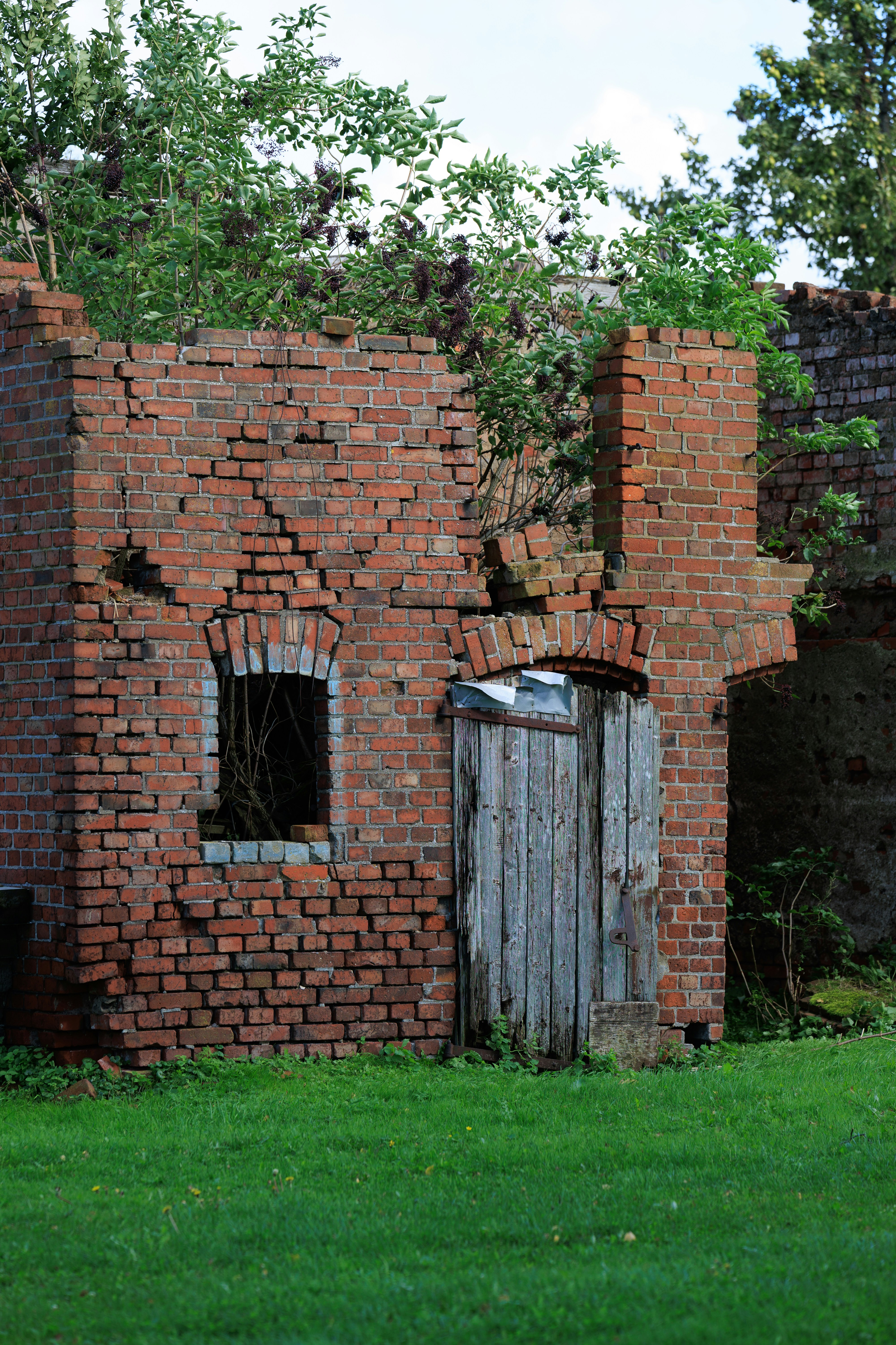 Overgrown brick ruin with weathered door and ivy-kissed arches