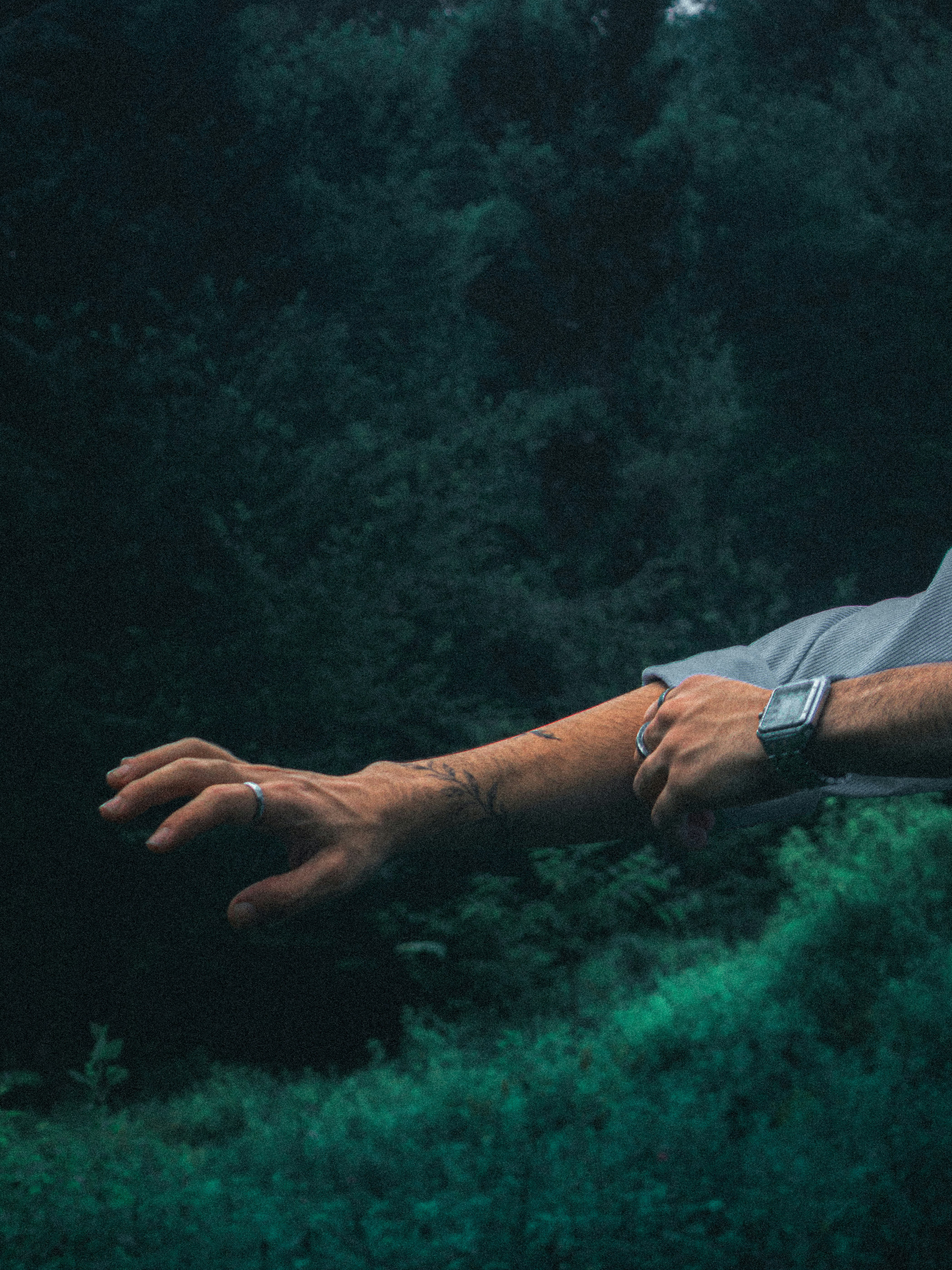 Outstretched Moment: A Sleeved Gesture in a Forest Scene