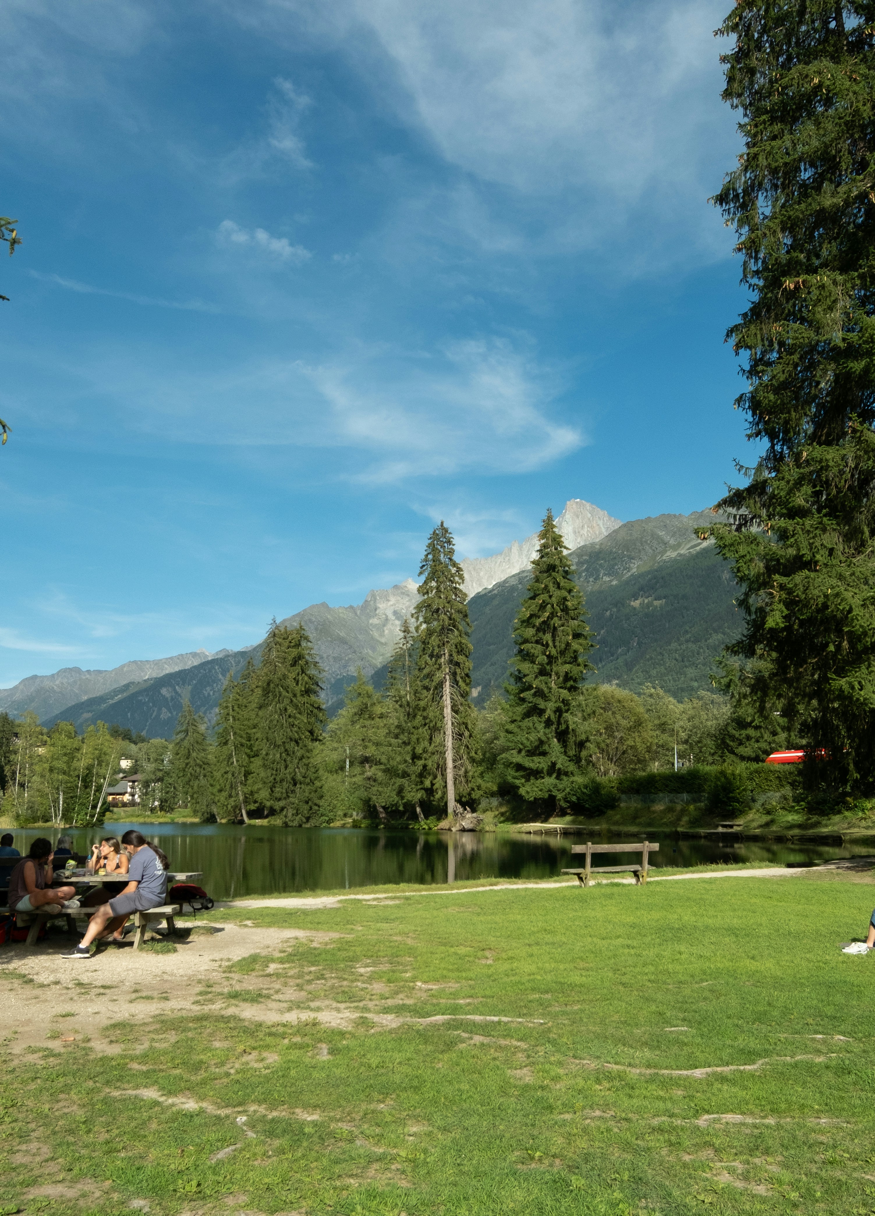 Lakeside Picnic Under Alpine Pines