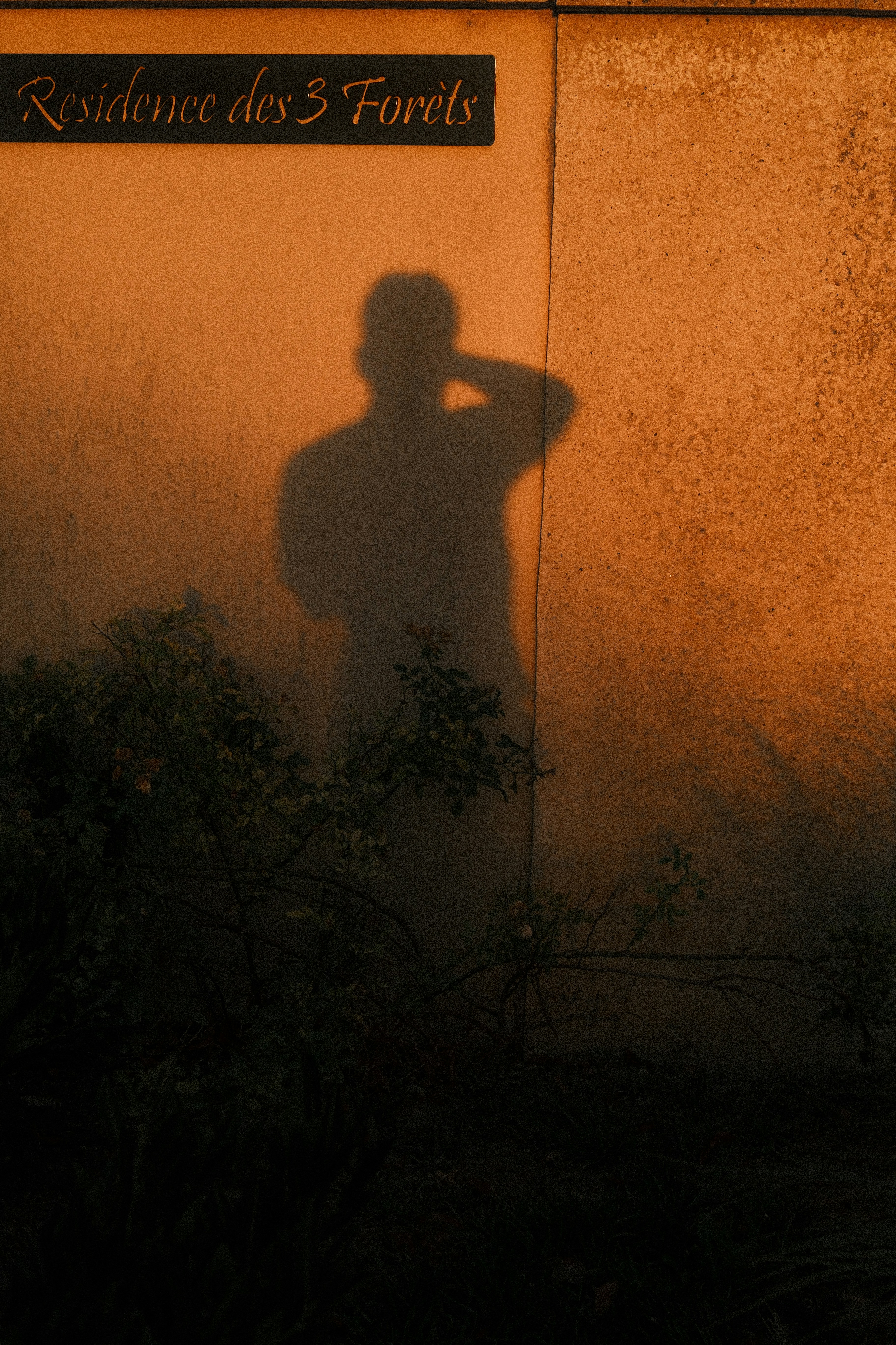 Shadow on the Wall: Portrait in Warm Dusk
