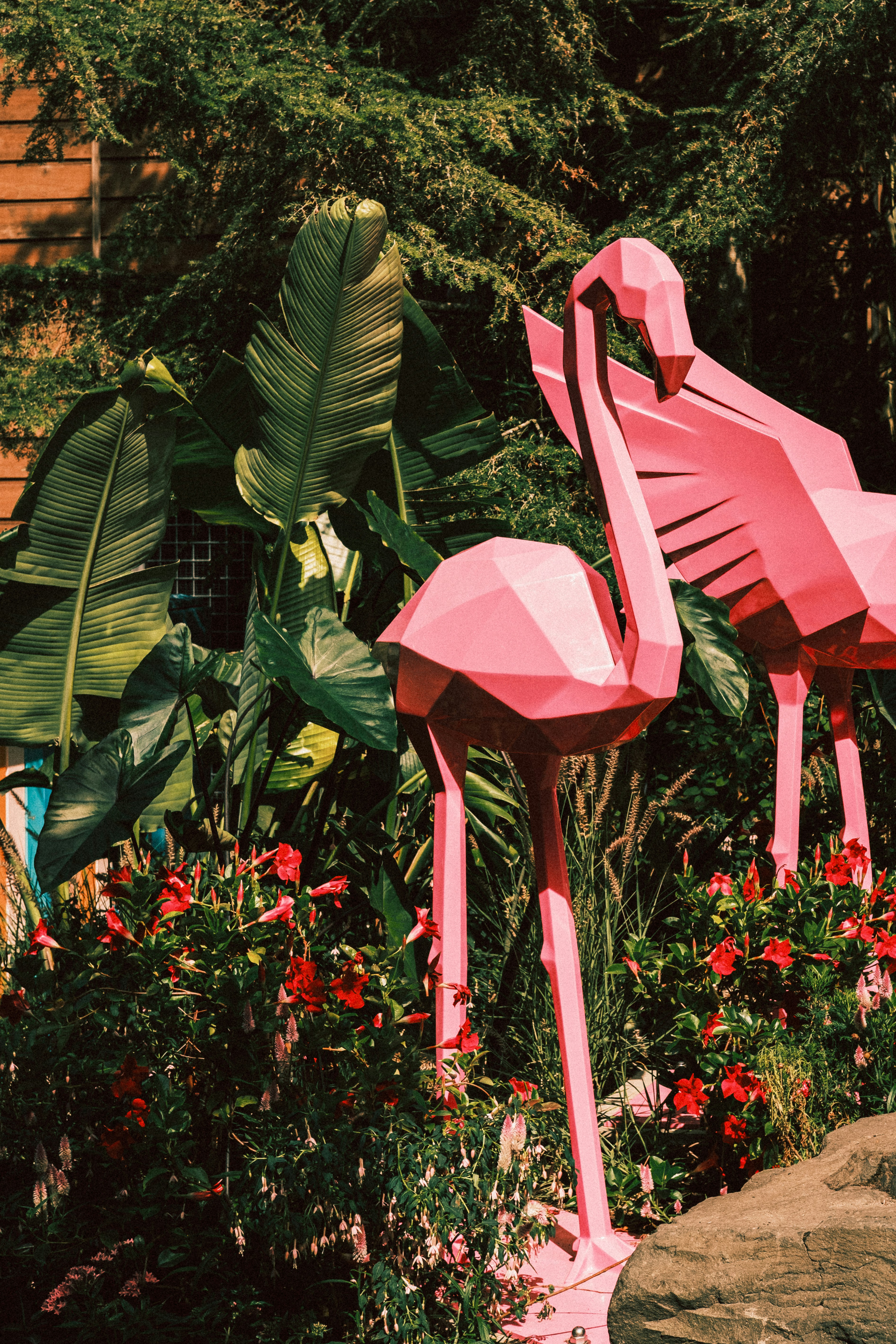 Flamingo Parade in a Sunlit Garden