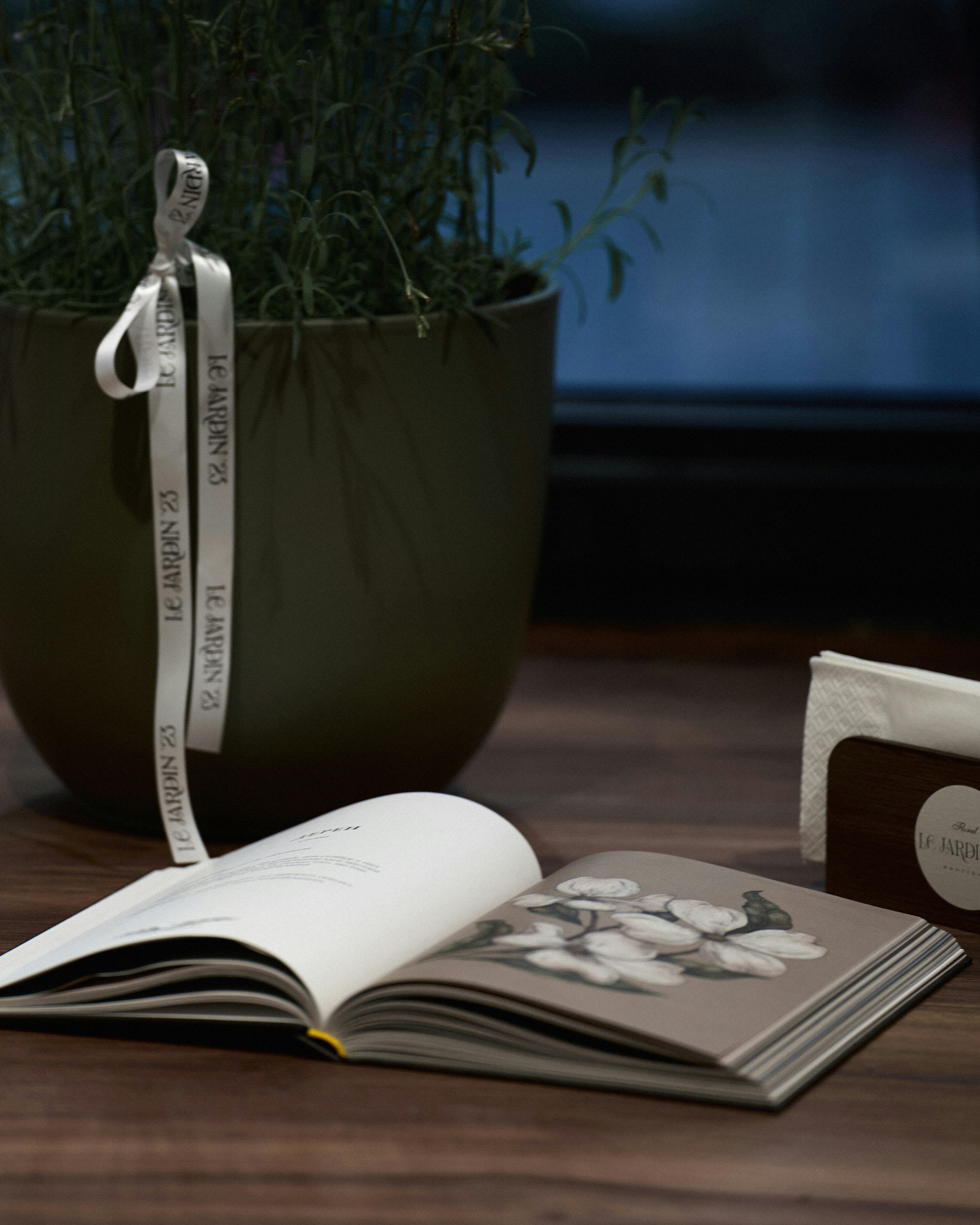 Open-Page Focus: A Quiet Moment with a Plant and Book