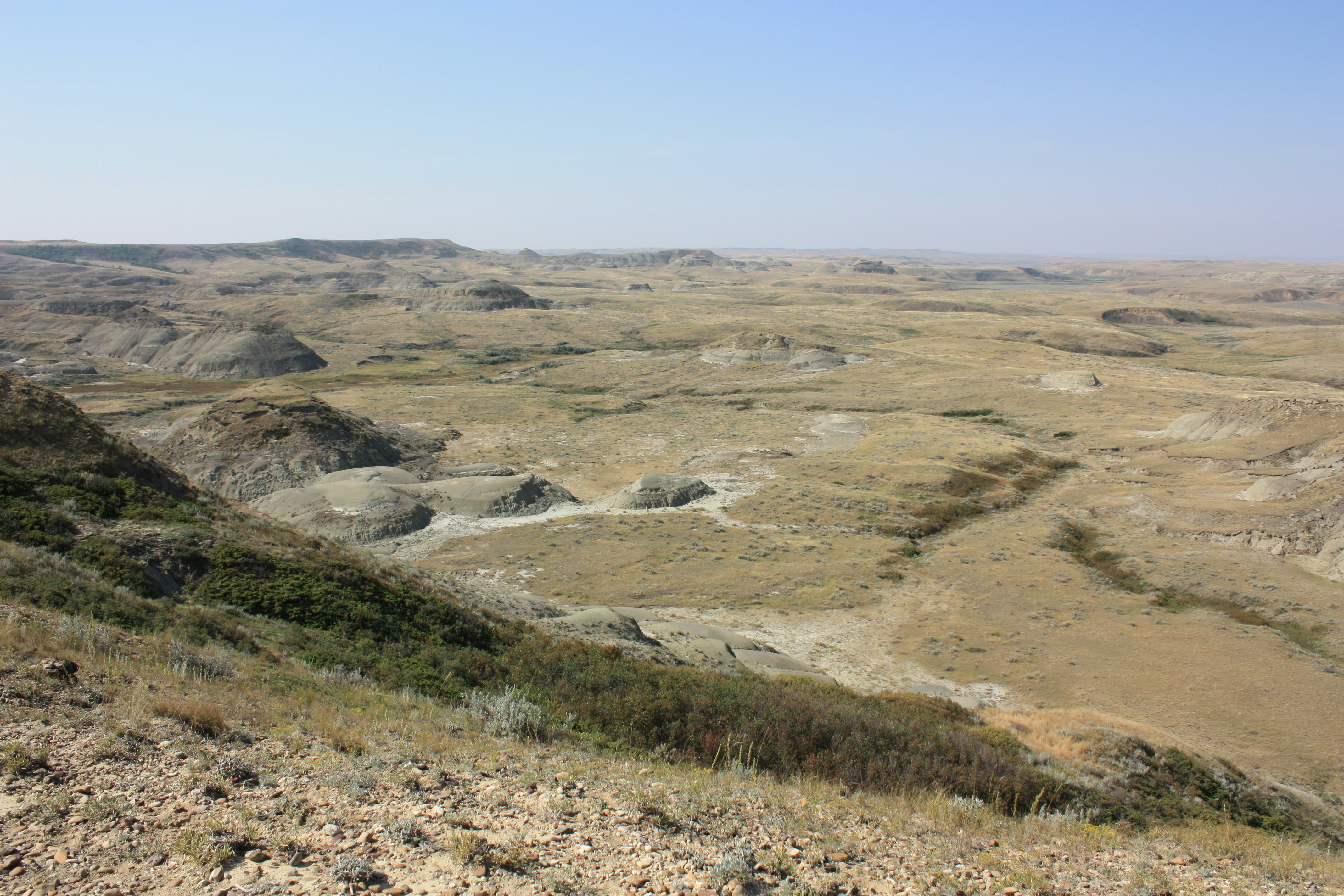 Expansive arid plateau with distant hills under a clear sky, captured from a slope with sparse vegetation in the foreground.