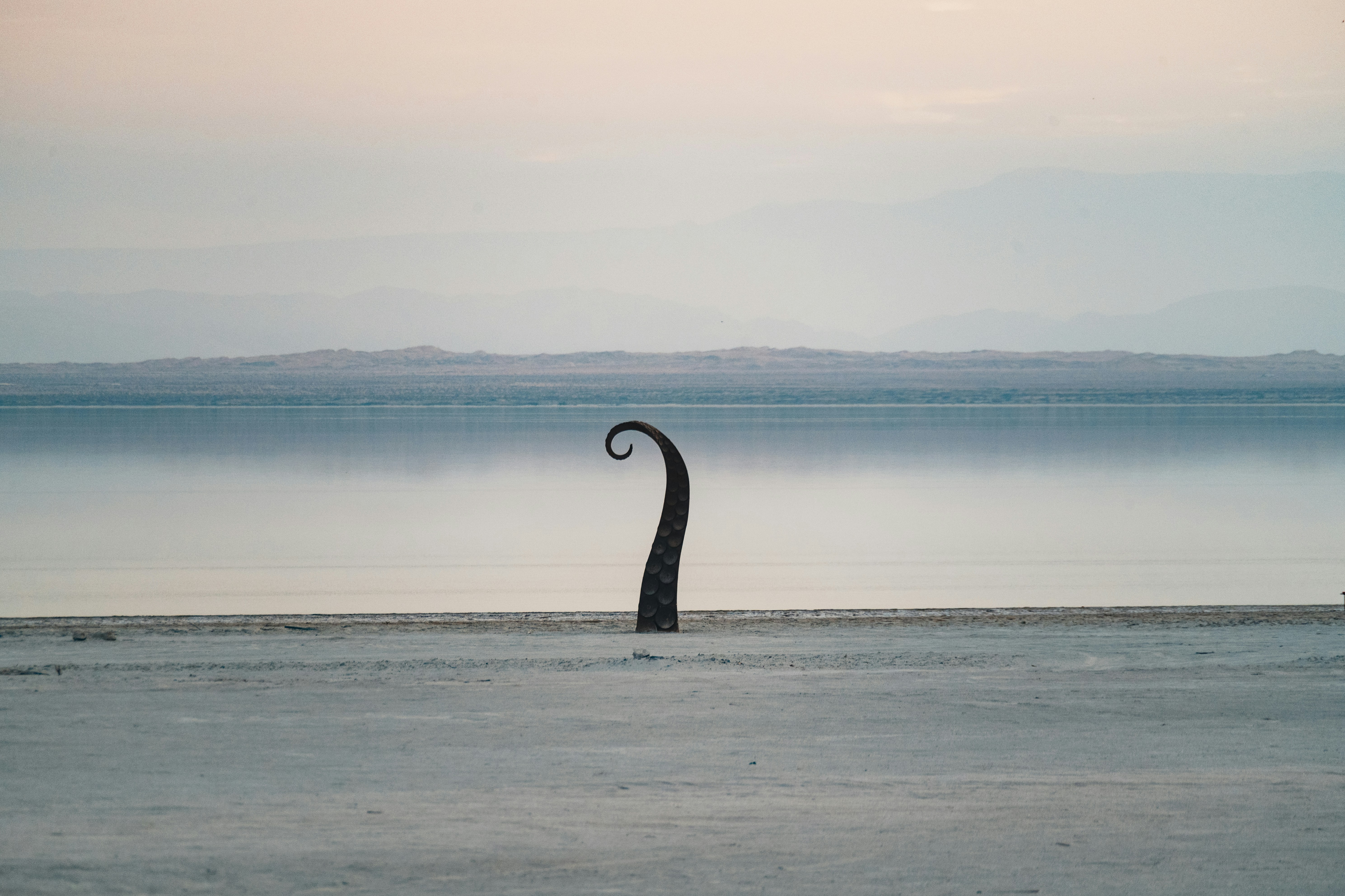 The Solitary S-curve: A Sentinel in Quiet Salt Flats