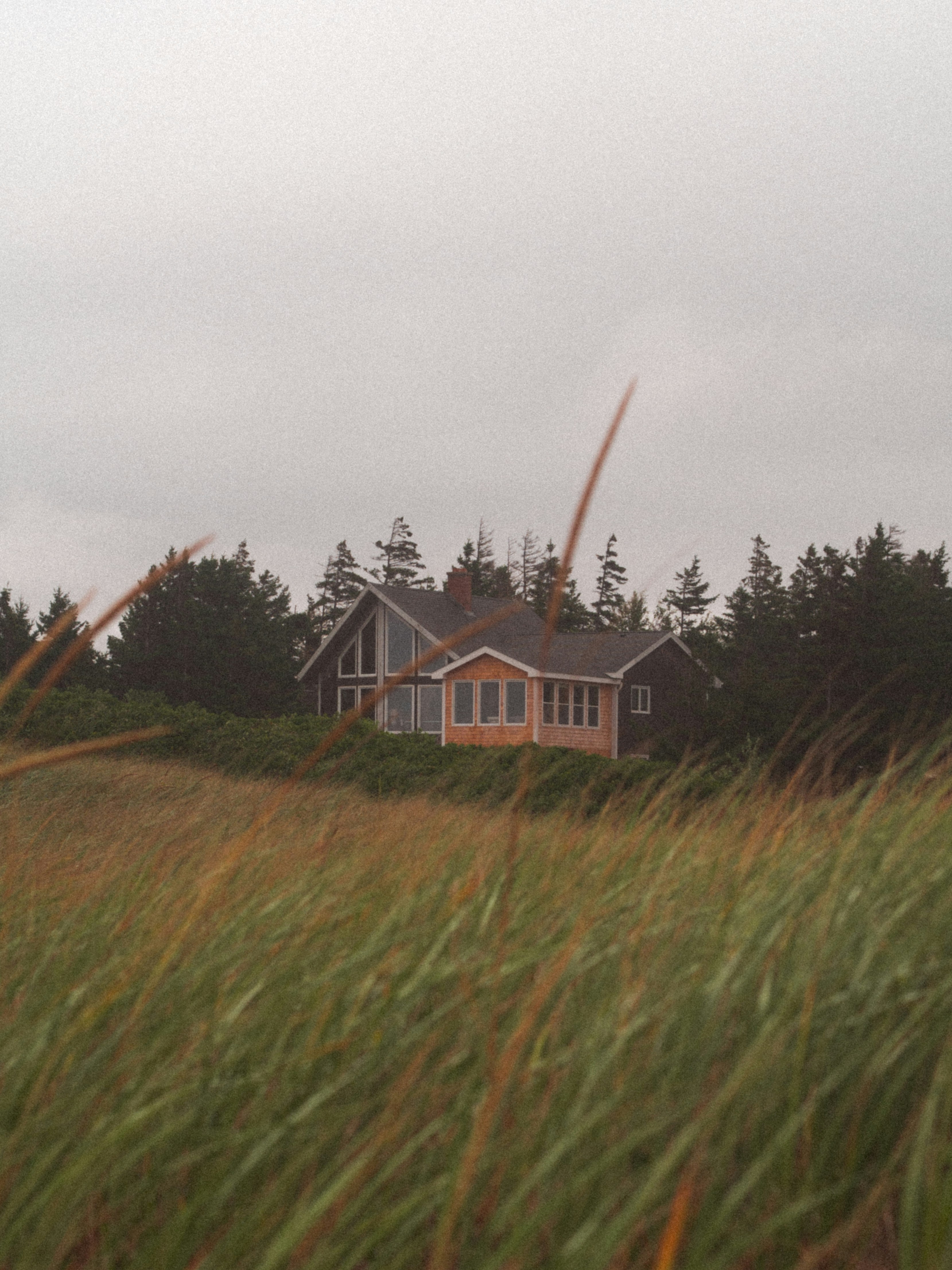Coastal Cottage Guarded by Grasses at Dusk
