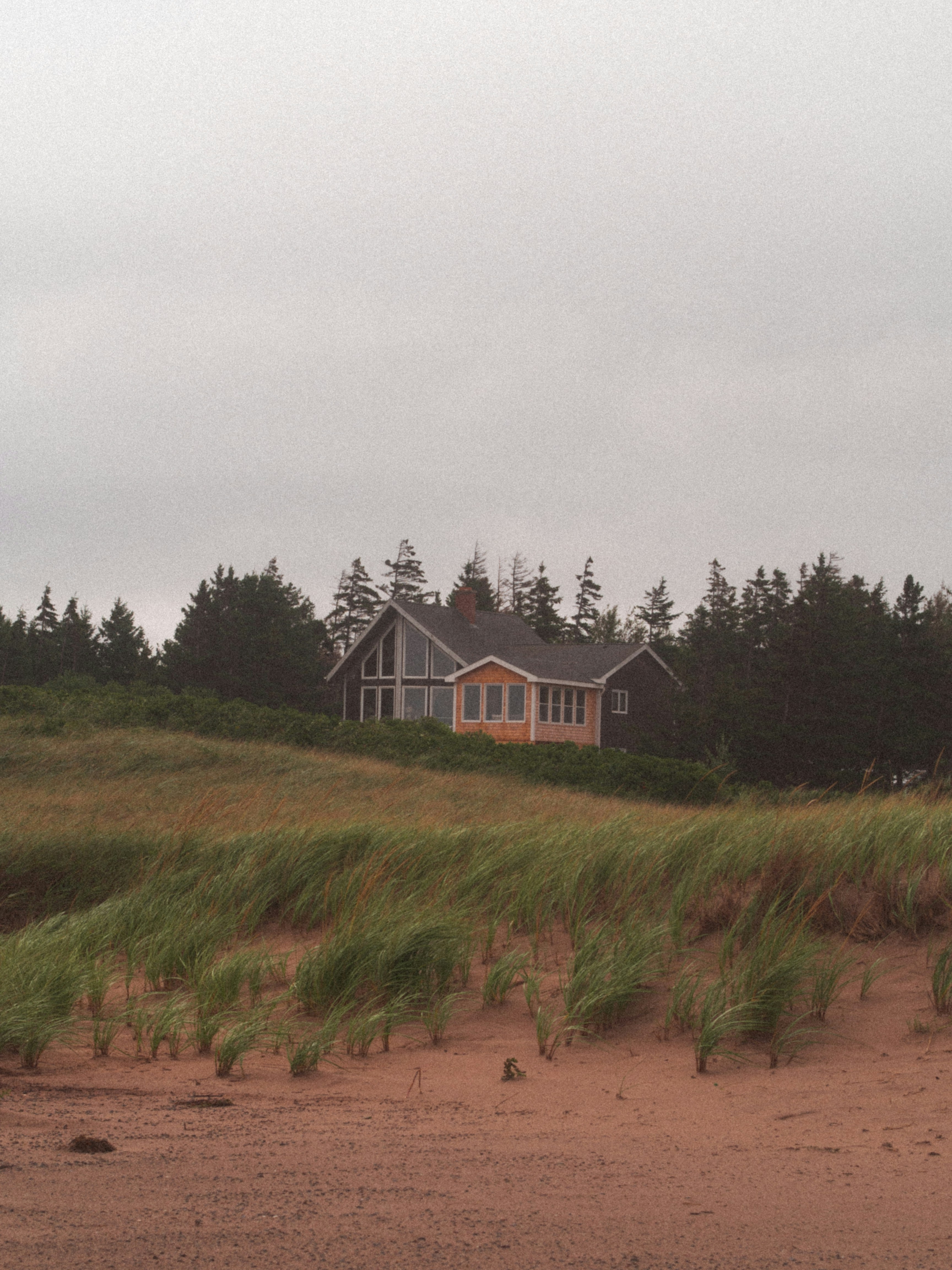 Seaside Cottage Amid Wind-Swept Grasses
