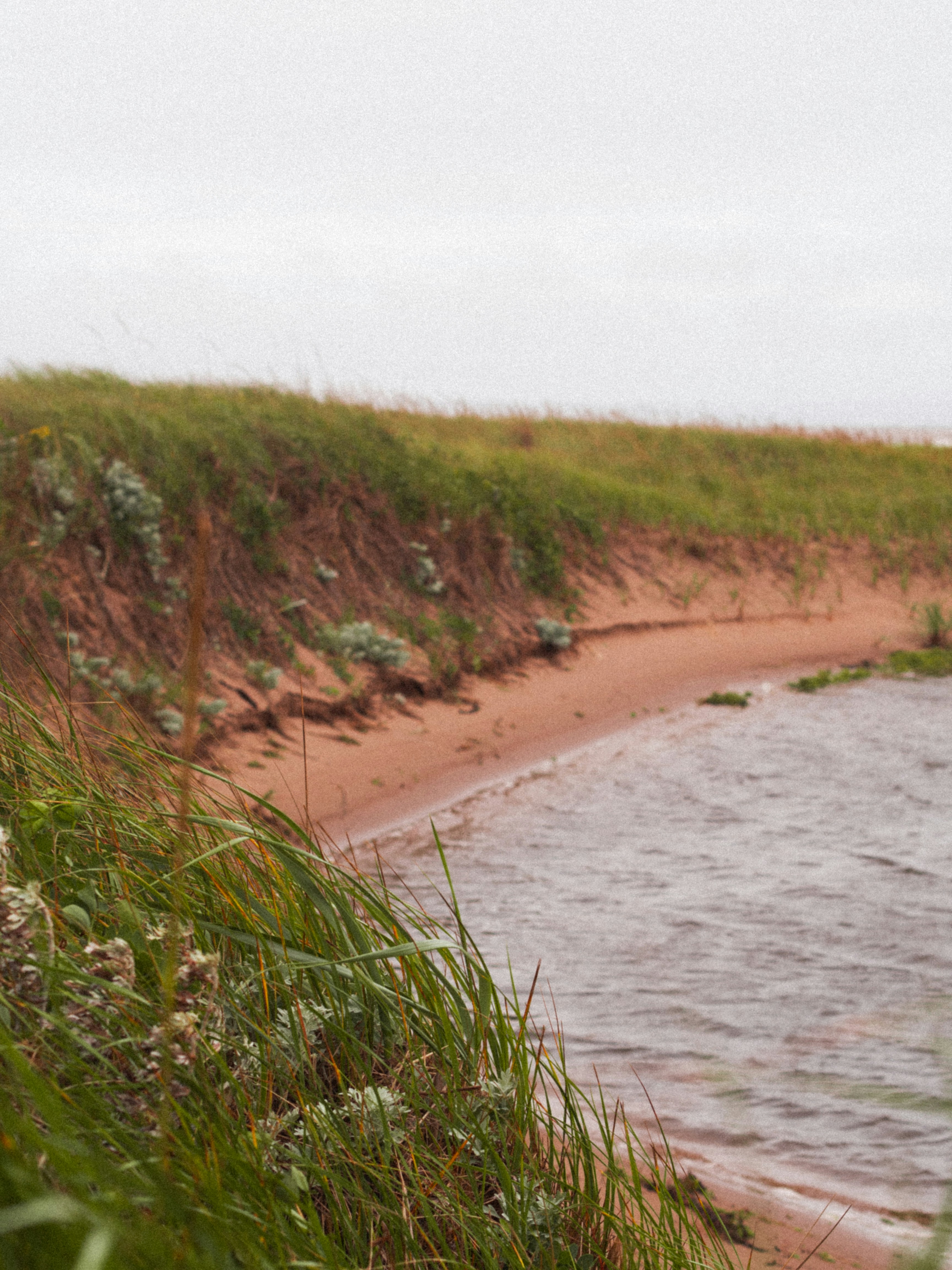 Grass-covered dunes meet a sandy shoreline along calm water, captured at a slight tilt to emphasize the slope and texture. This is a natural landscape photograph with no people visible.