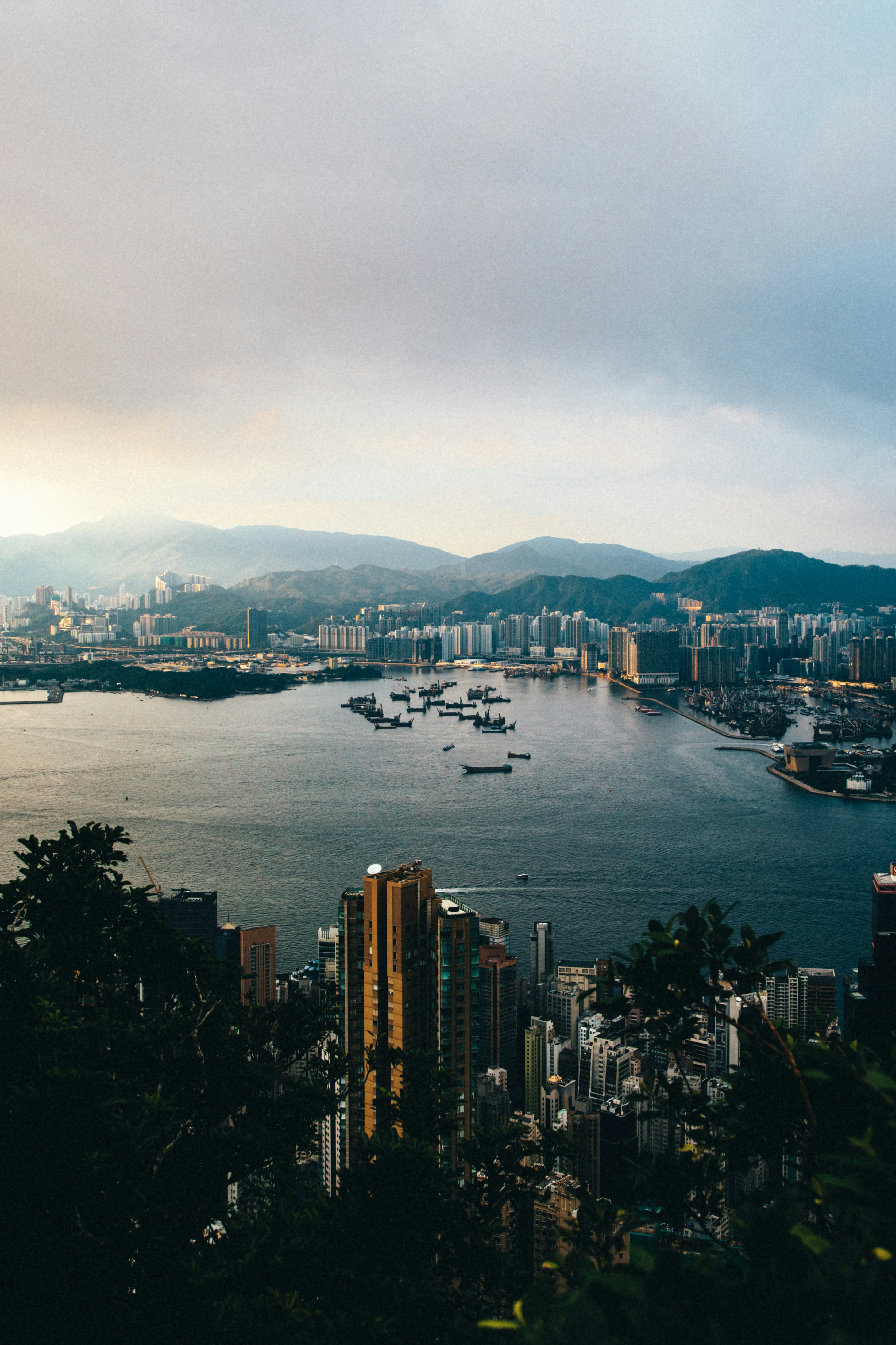 Harbor Cascade: A Sunlit City Crowned by Rolling Hills