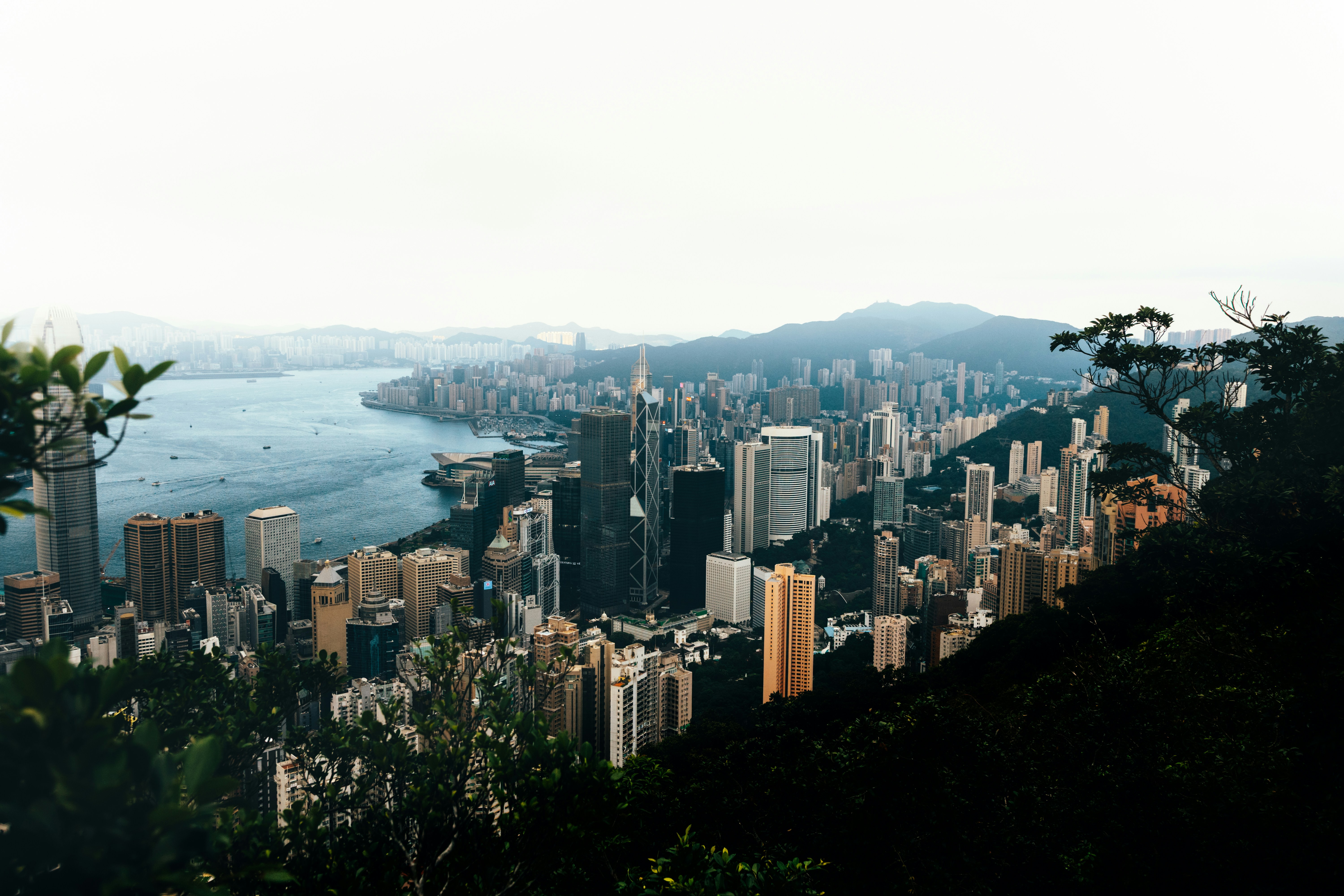 Harbor on the Hills: A Bird's-Eye Span of a Coastal Metro