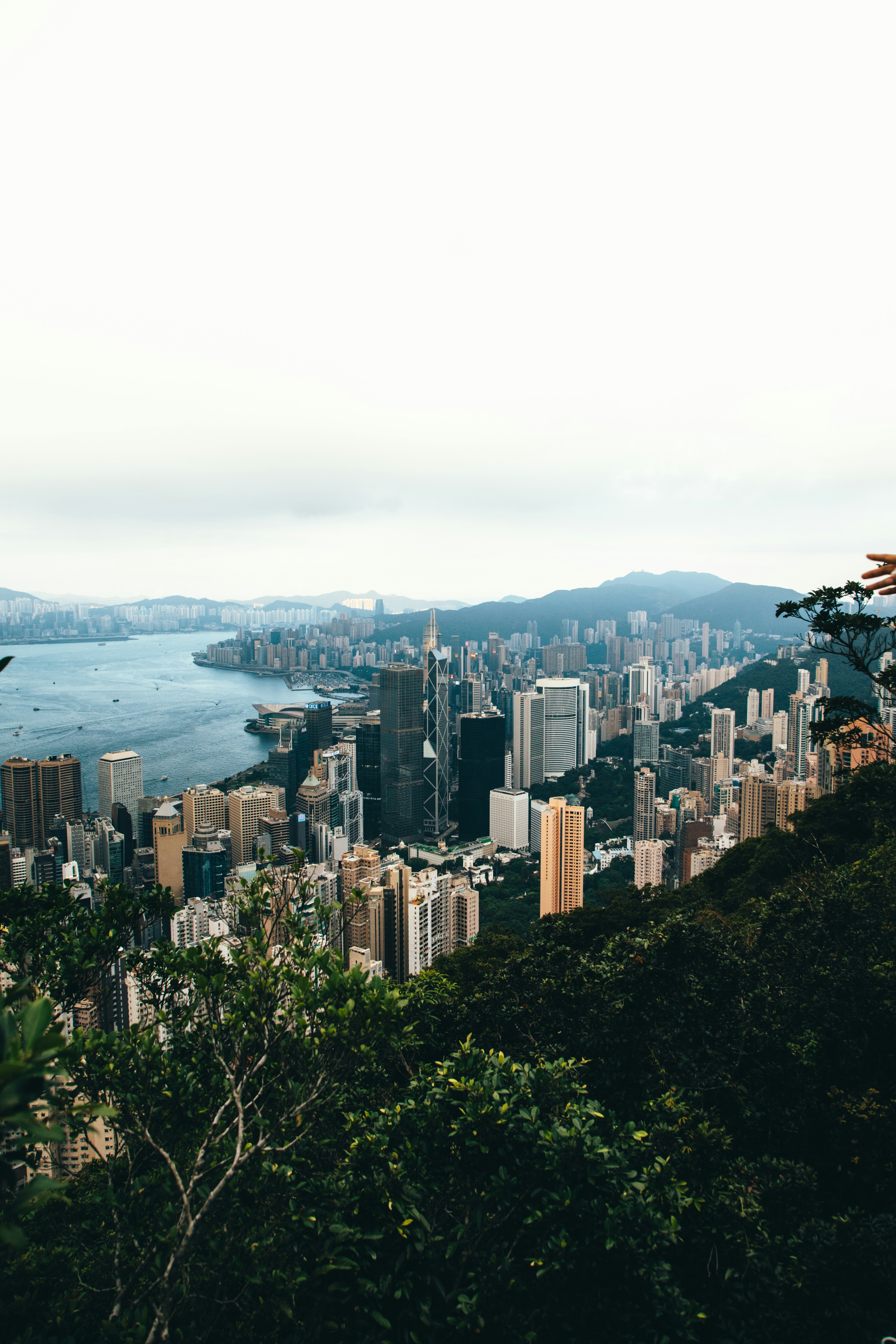 Cityscape from the Green Ridge: Hong Kong's Skyline Unfolds