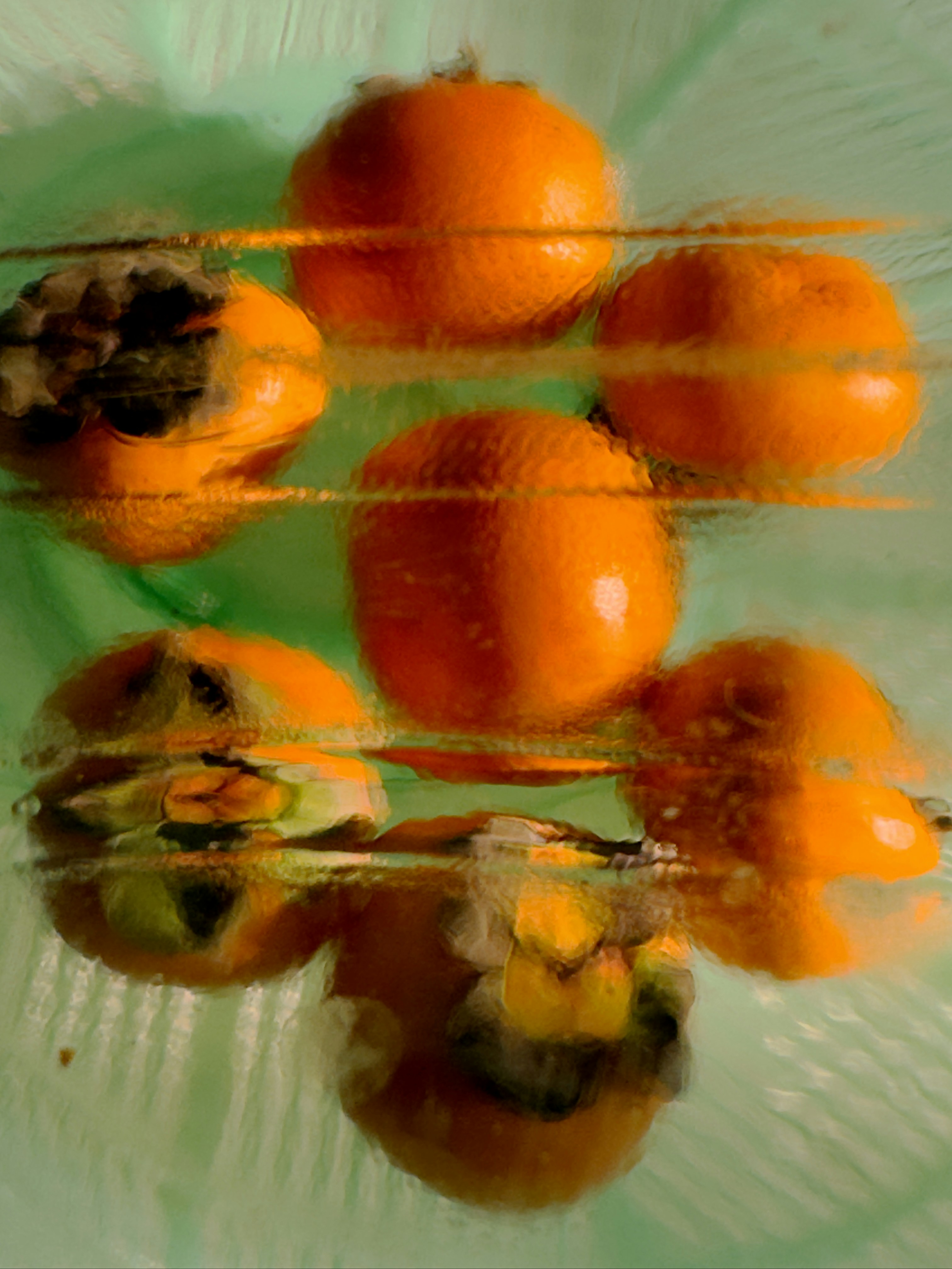 Fruit Reflections: A Blur of Oranges in Glassy Ripples