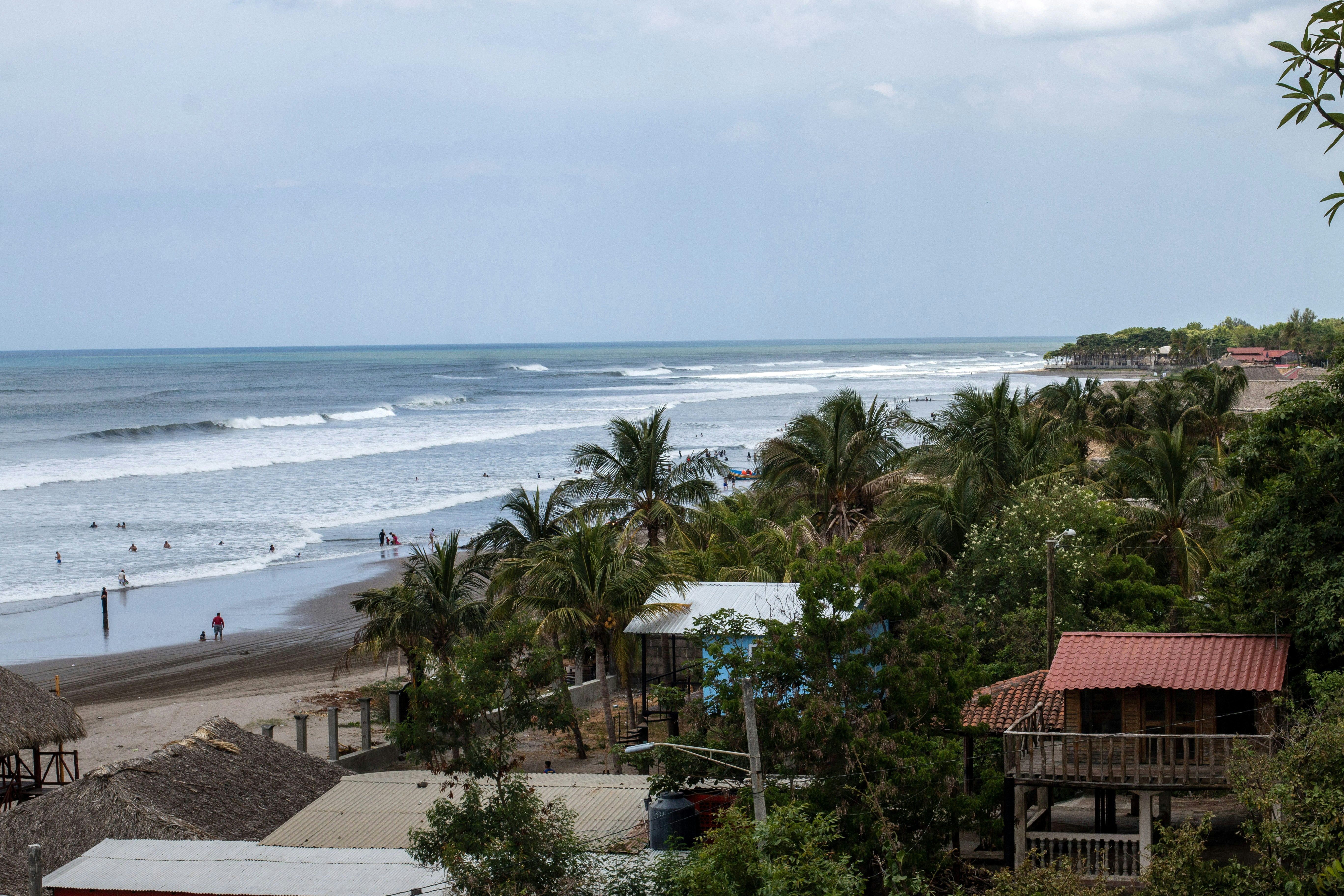 Palm-Fringed Beachfront Village Tucked Along Curved Shore
