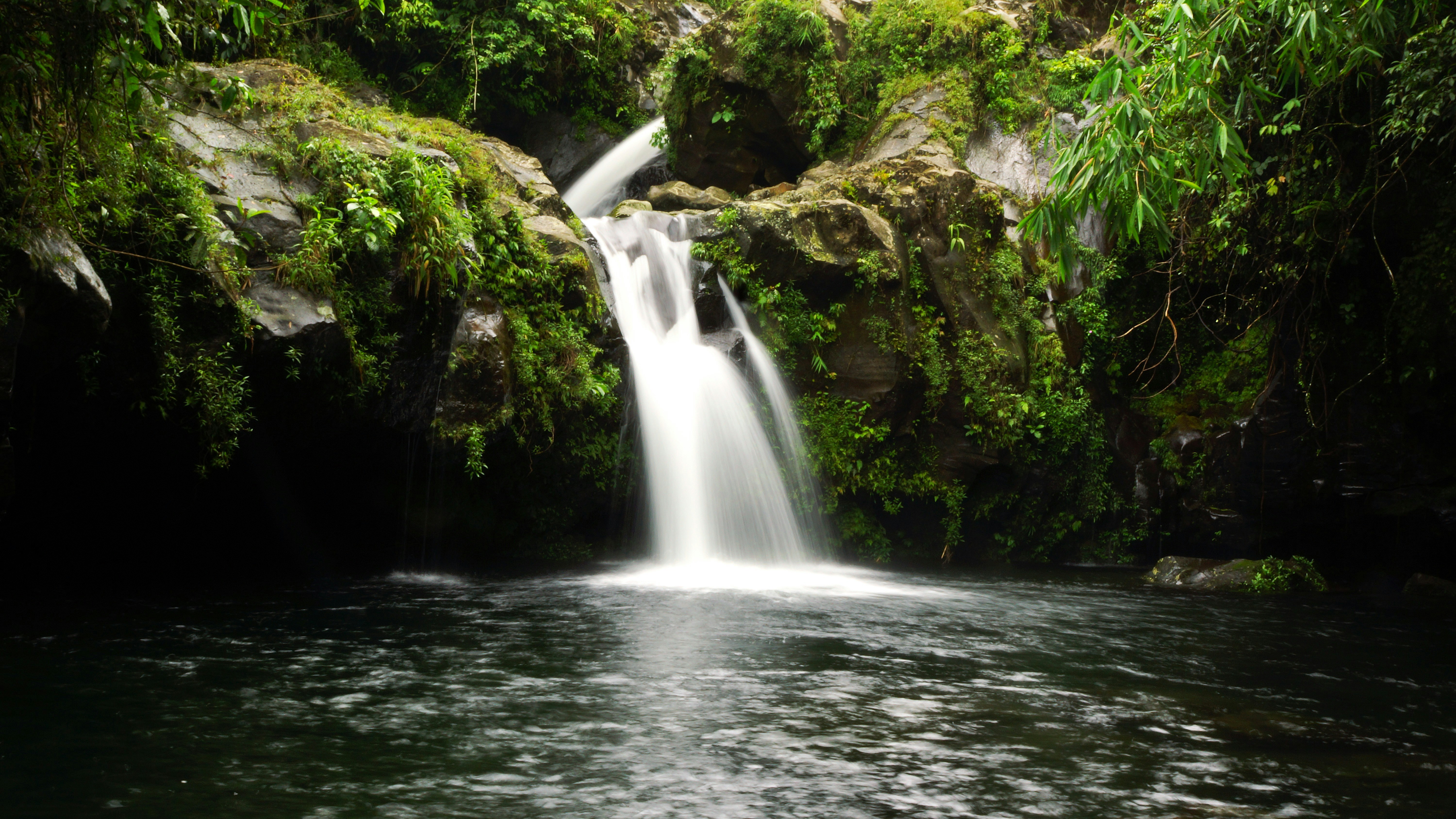 Whispering Cascade: A Quiet Pool Beneath Lush Green Cloisters