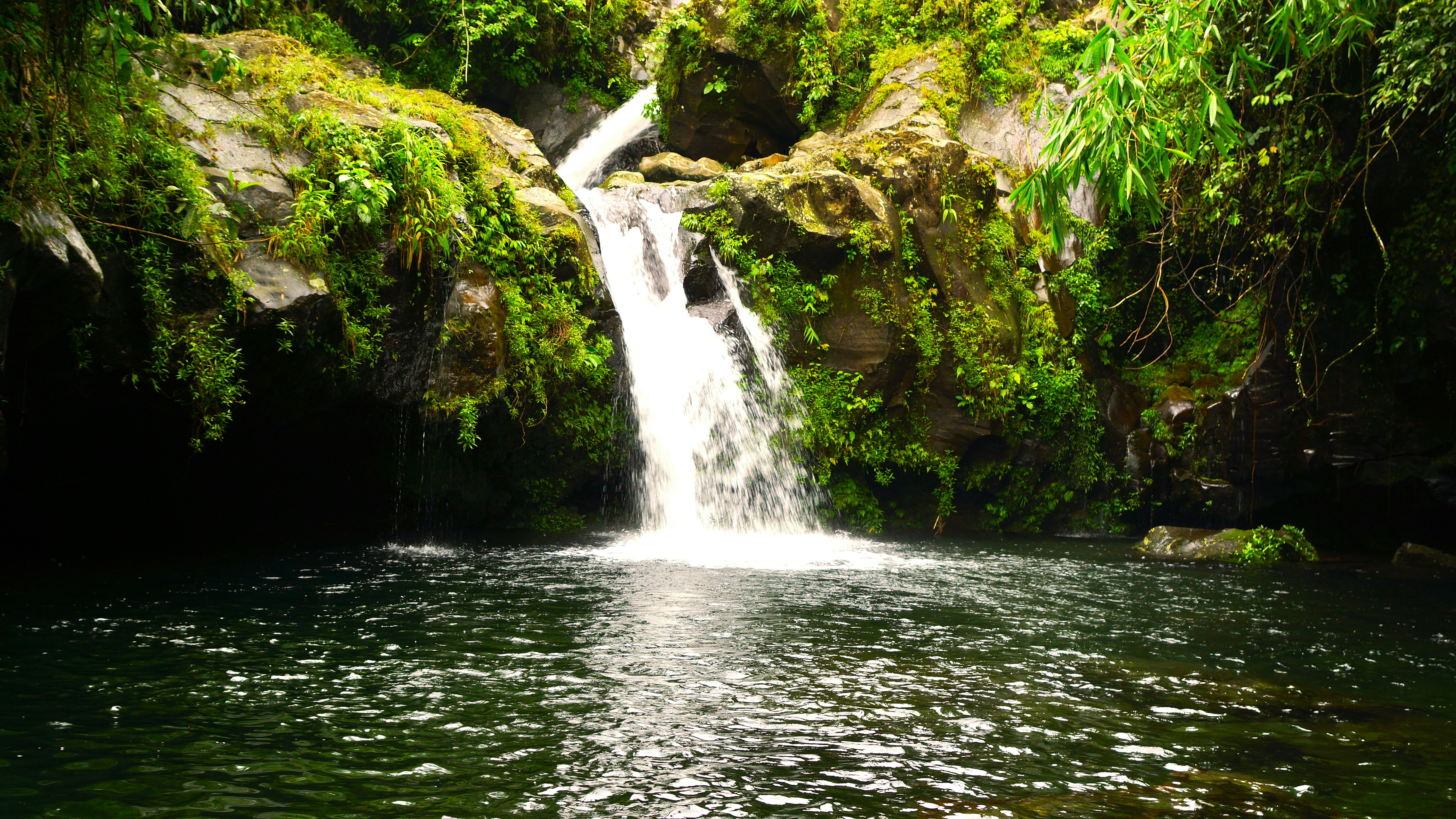 A Hidden Cascade: Jungle Falls Embraced by Mossy Cliffs