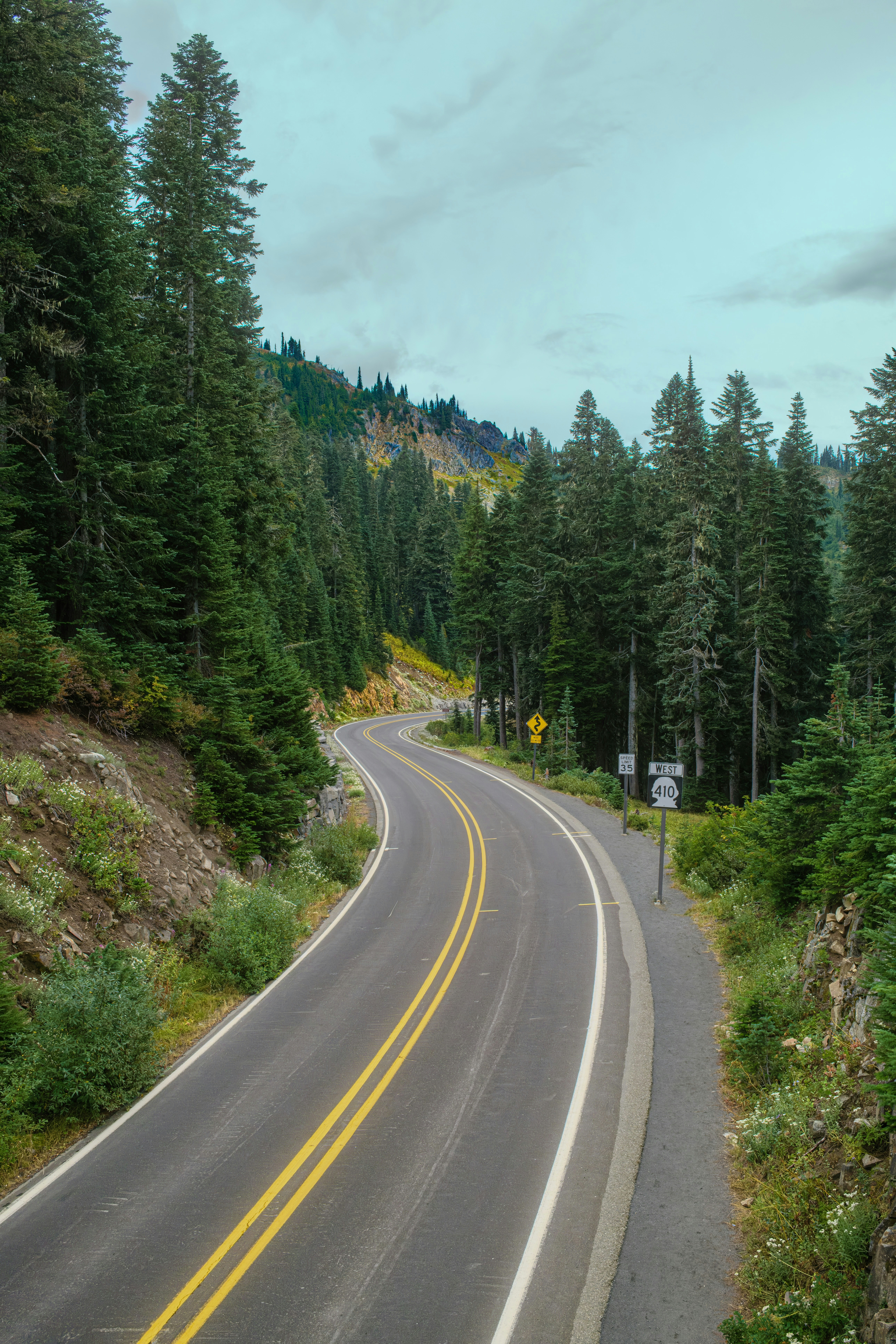 Curving Mountain Road Carves Through Emerald Pines