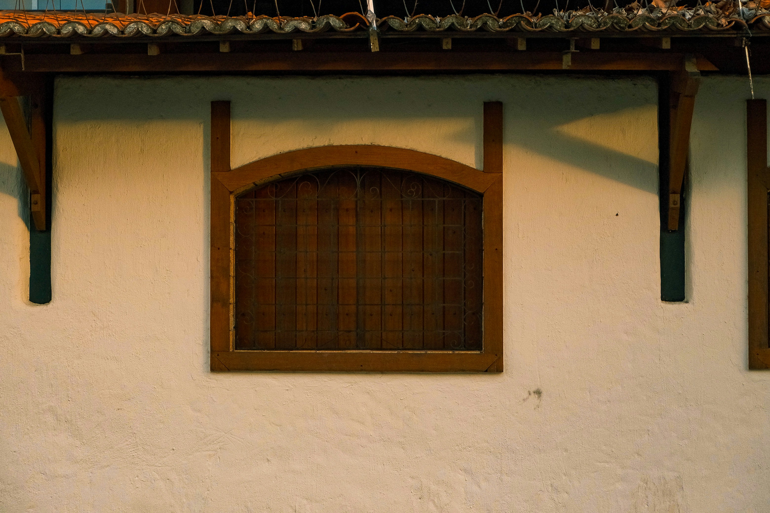Quiet Window in Warm Sunlight