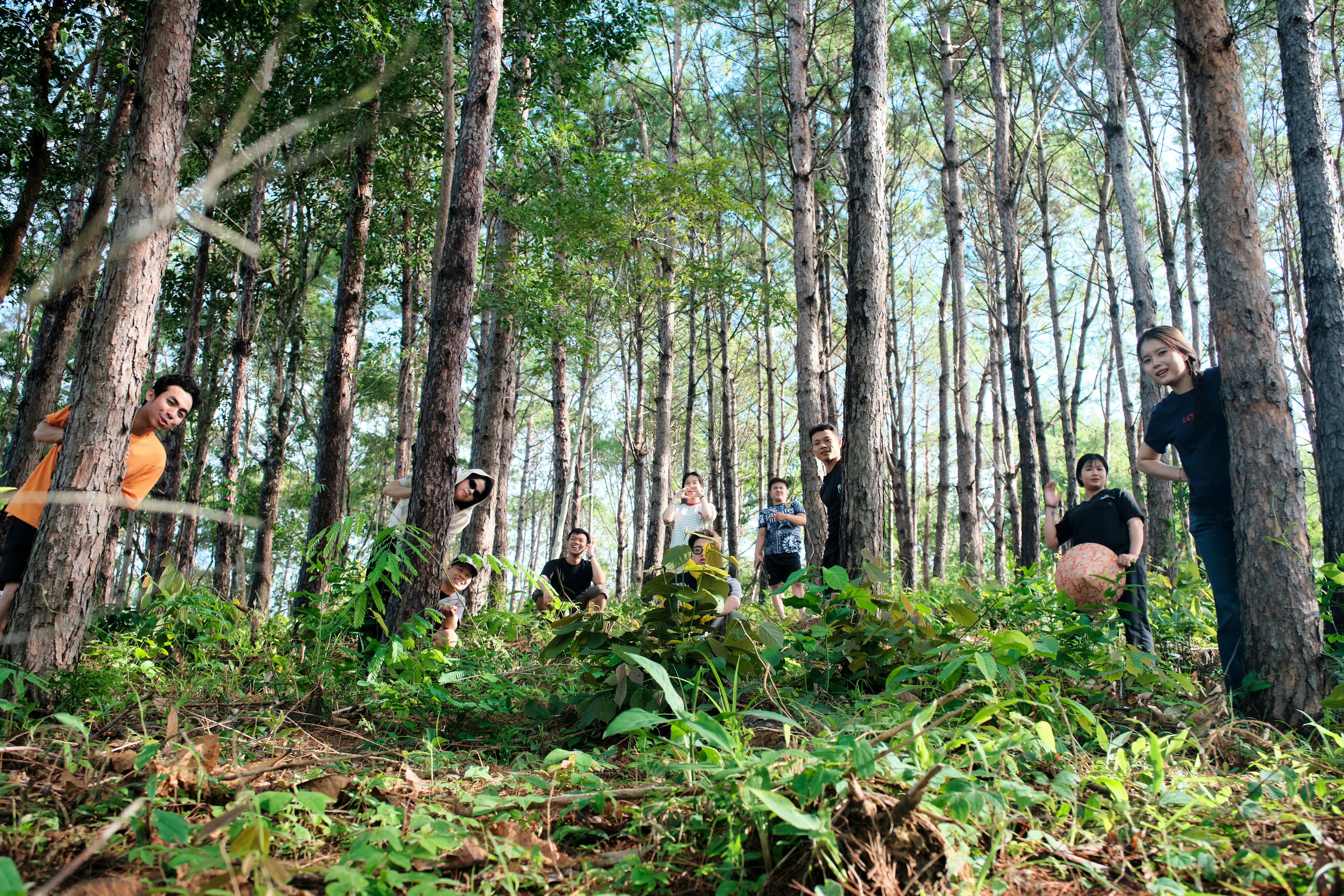 Forest Circle: A Group Portrait Among Tall Pines