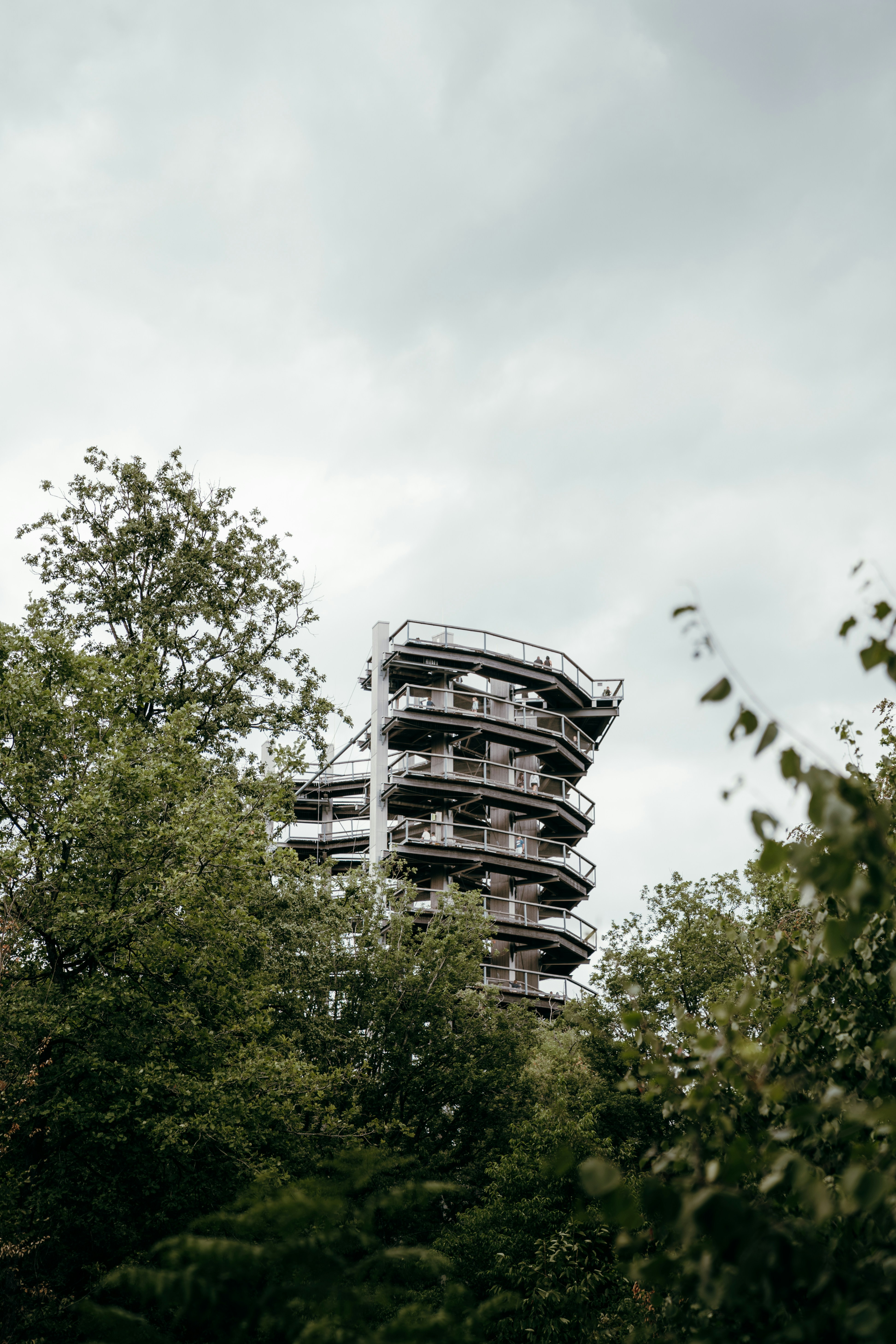 Spiral Observation Tower Peeking Through the Canopy