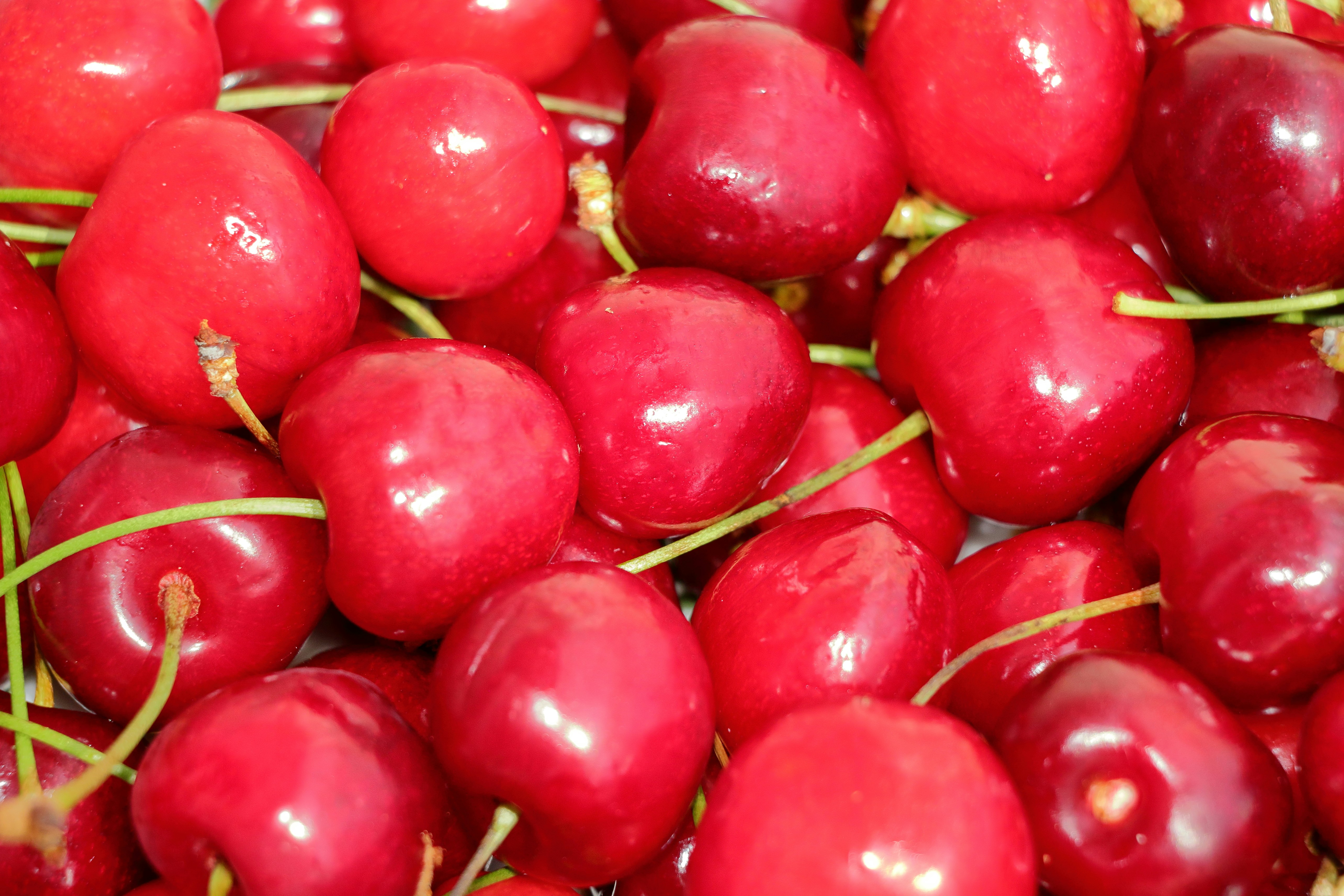 Crimson Harvest: A Ripple of Cherries