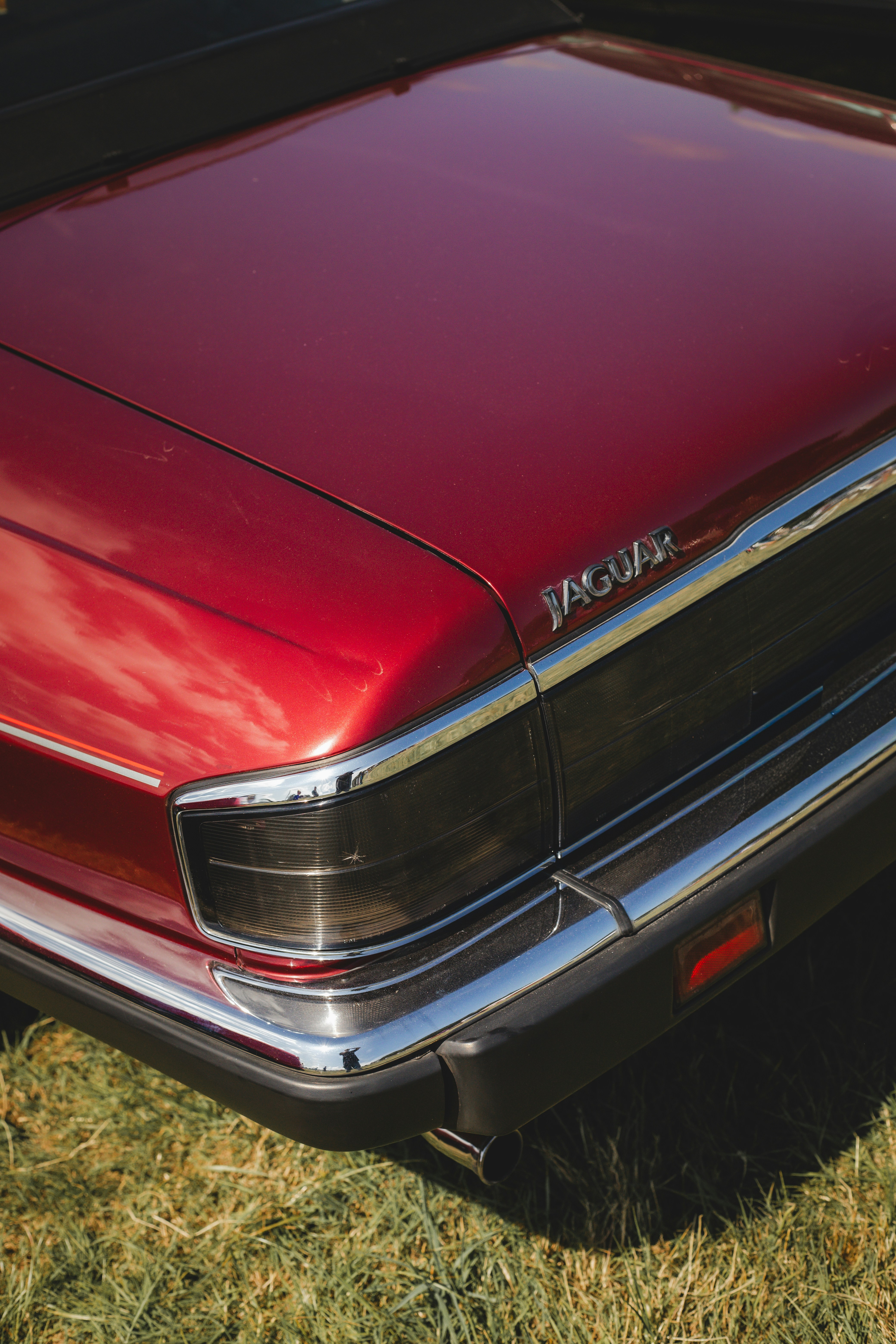 Crimson Hood, Chrome Accents: A Classic Jaguar’s Quiet Pride