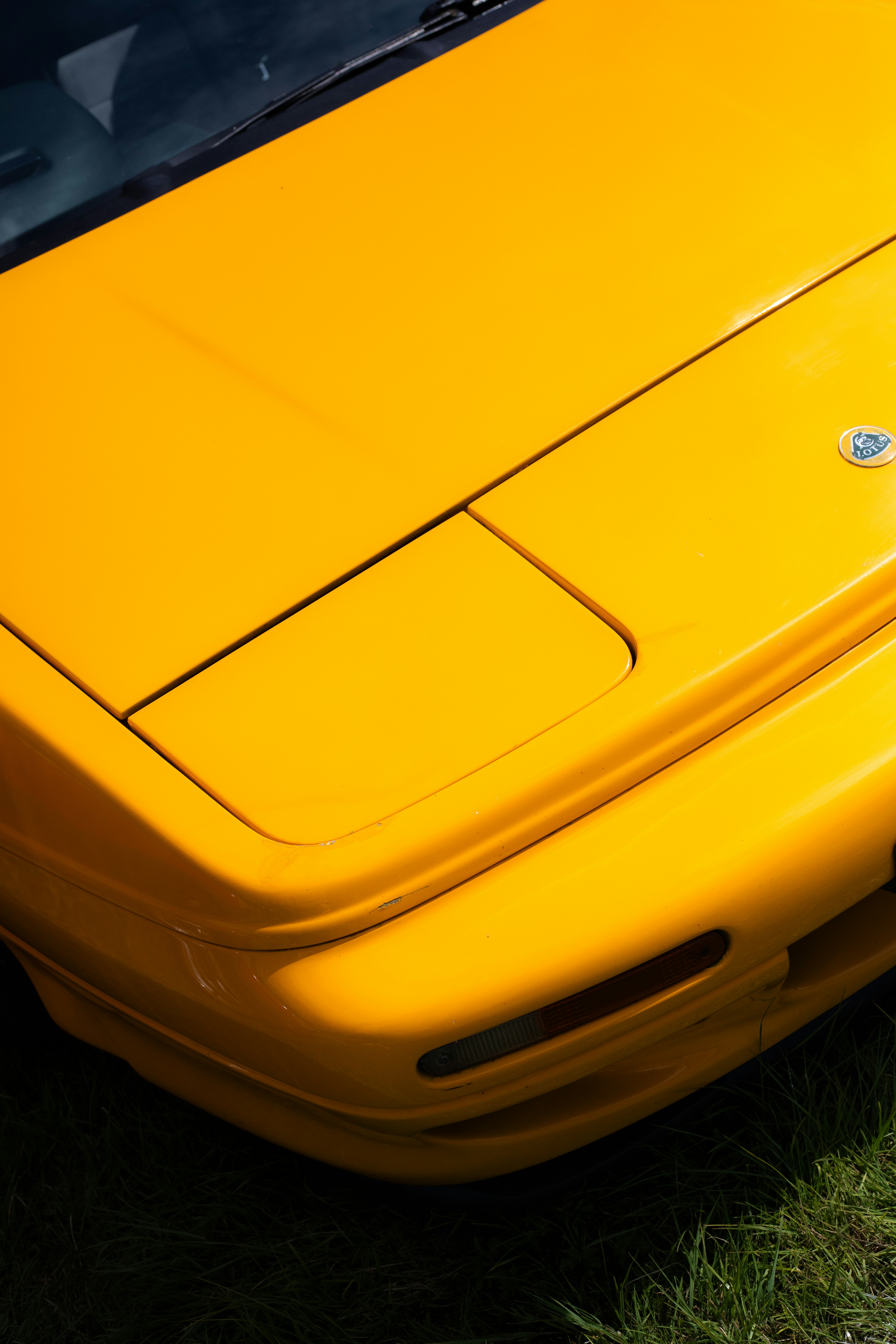 Yellow Velocity: A Car Hood in Close-Up