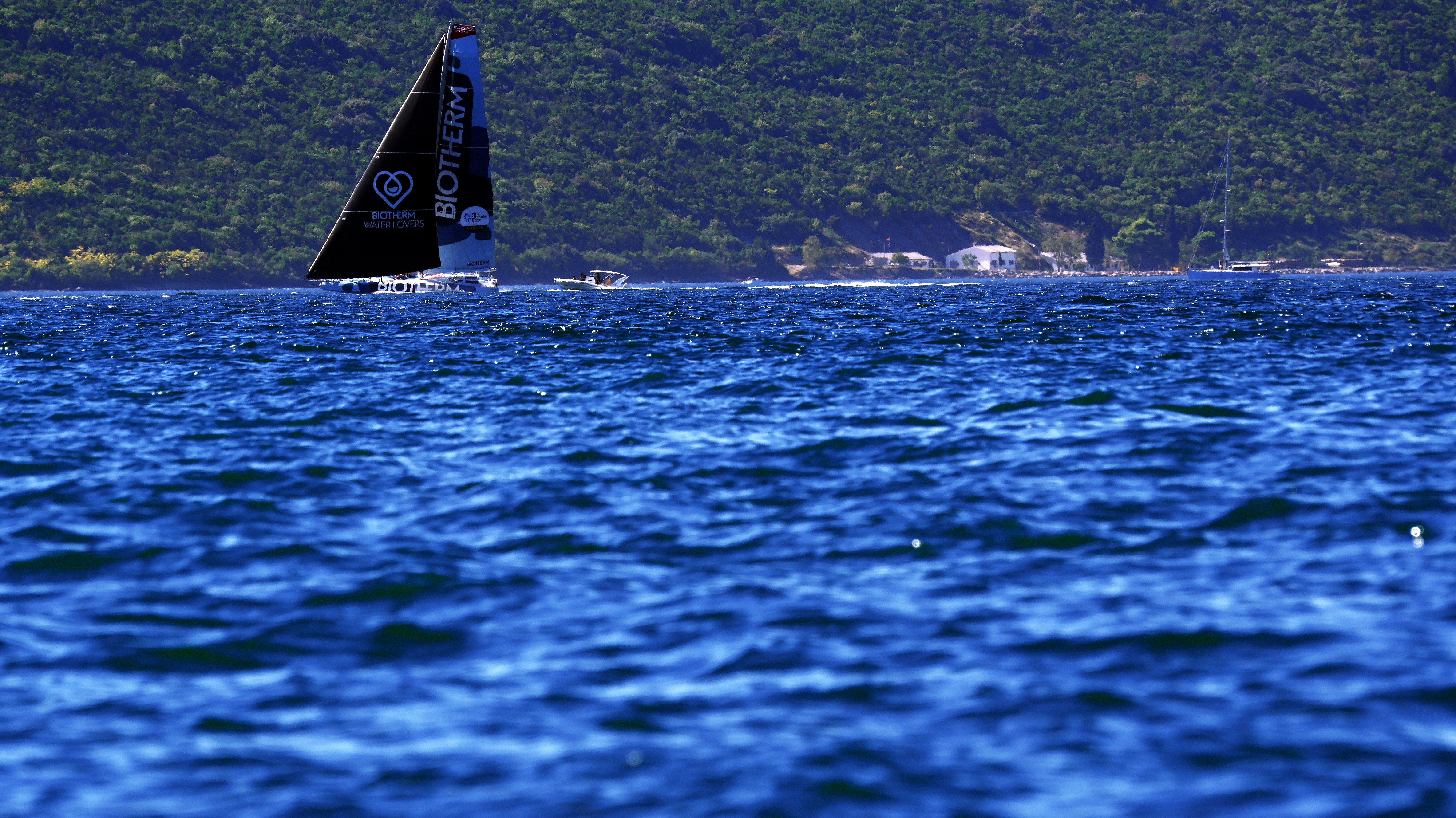 A lone sailboat with a dark sail glides over blue open water near a tree-lined shore, with distant buildings visible on the horizon.