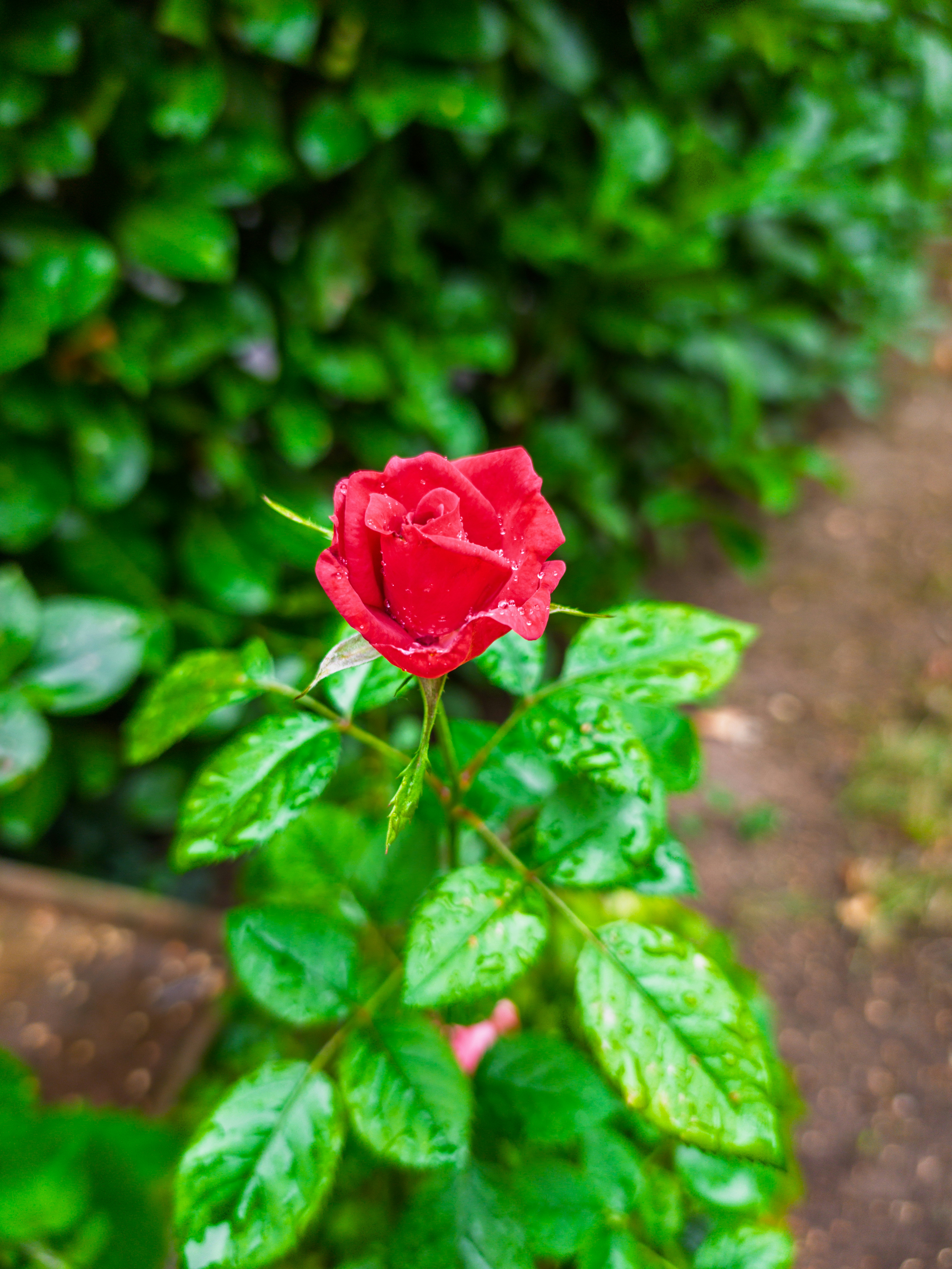 Photo by Sergej ***** with Google Pixel 11 Pro
