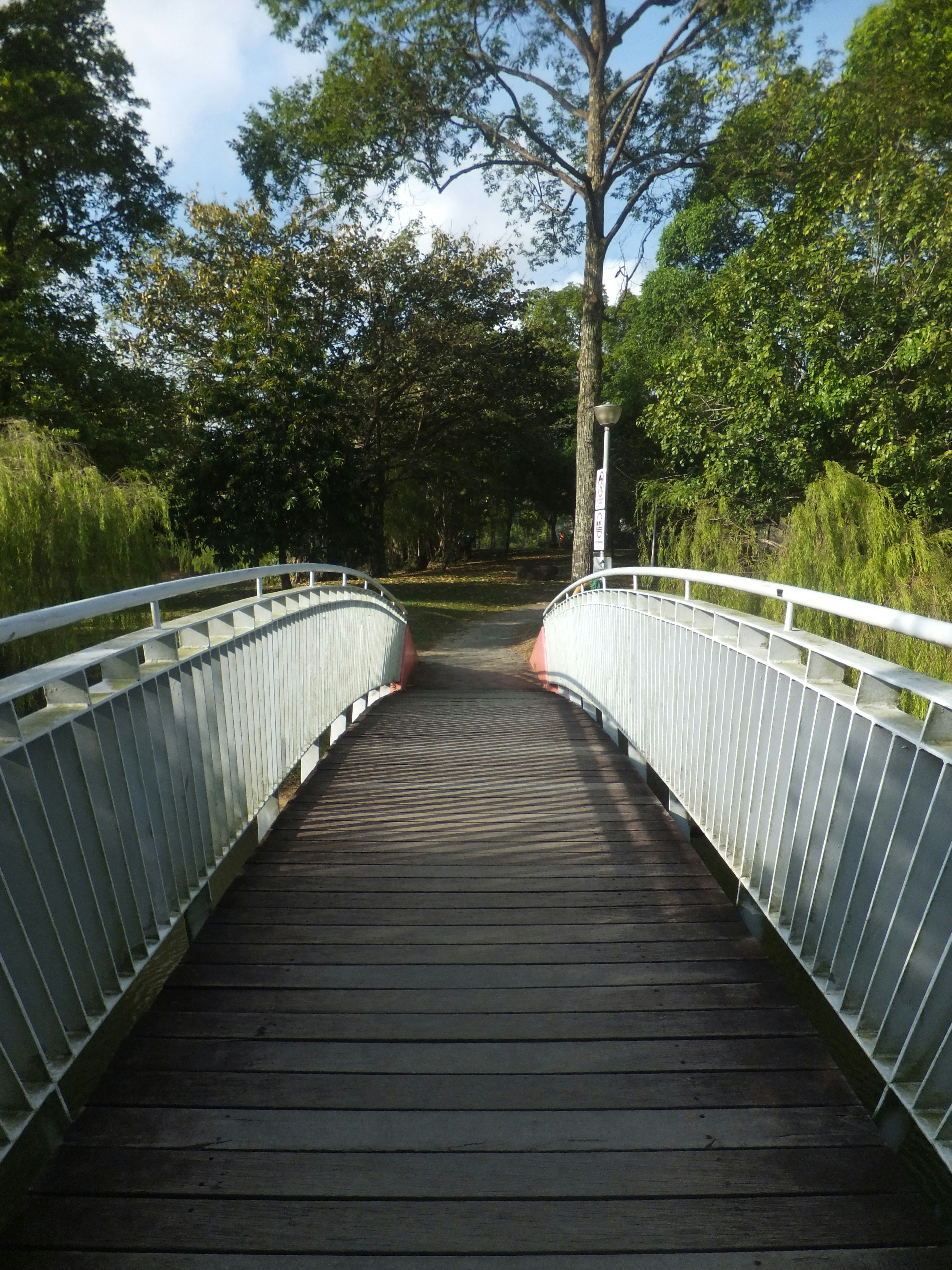 Bridge