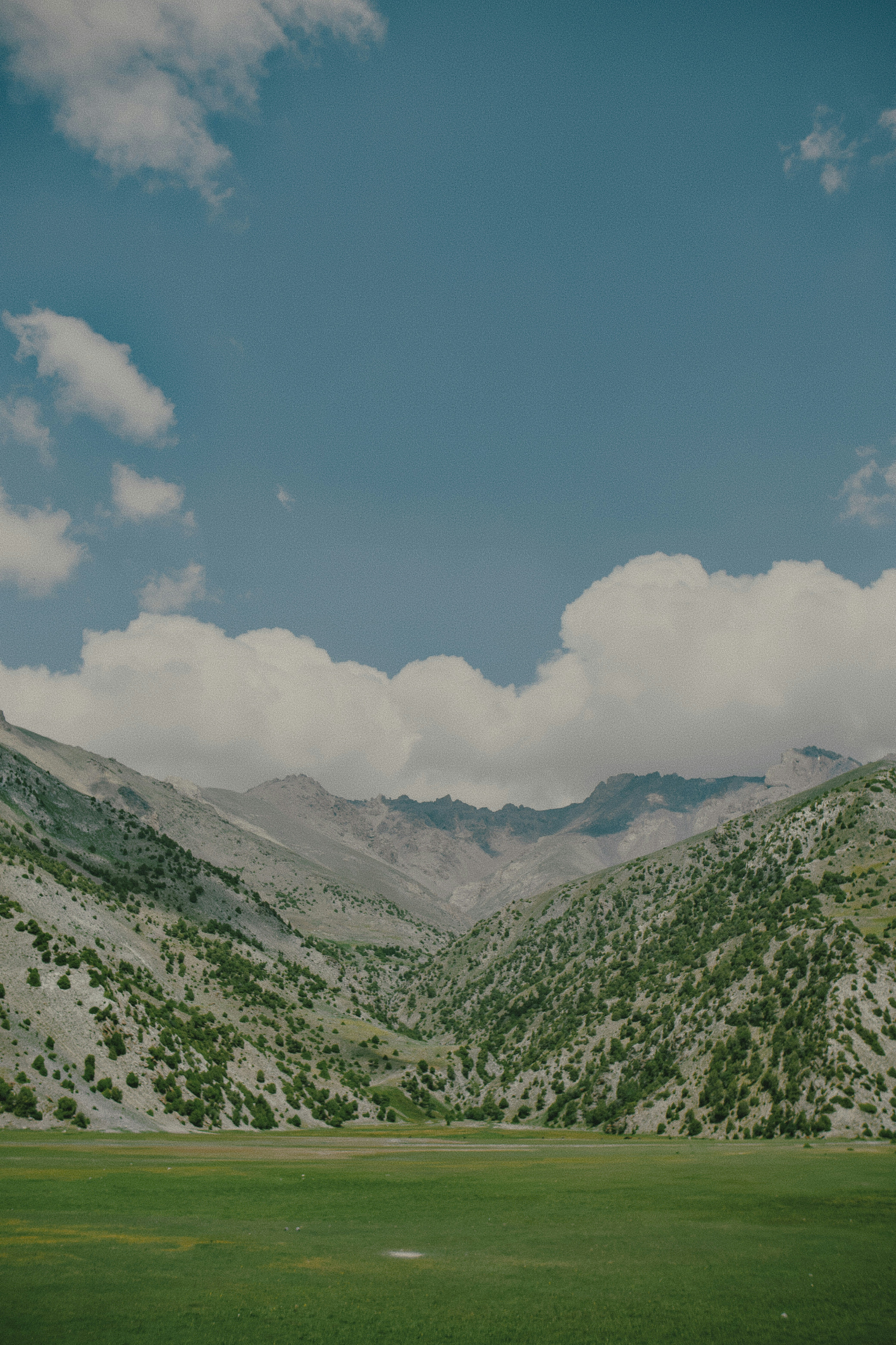 Valley Breath: Green Plain Beneath The Sky