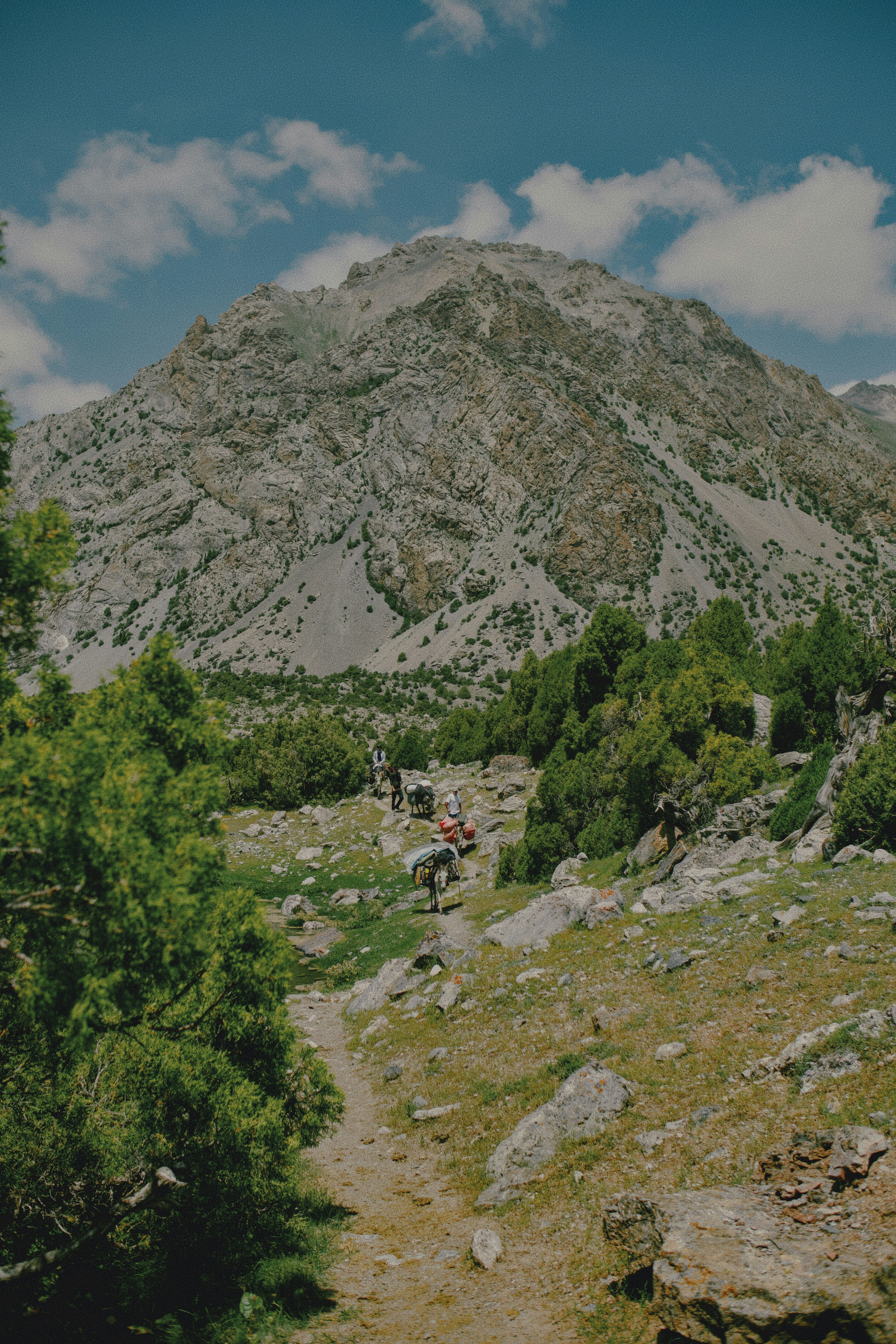 Trail to the Wind-Swept Peak