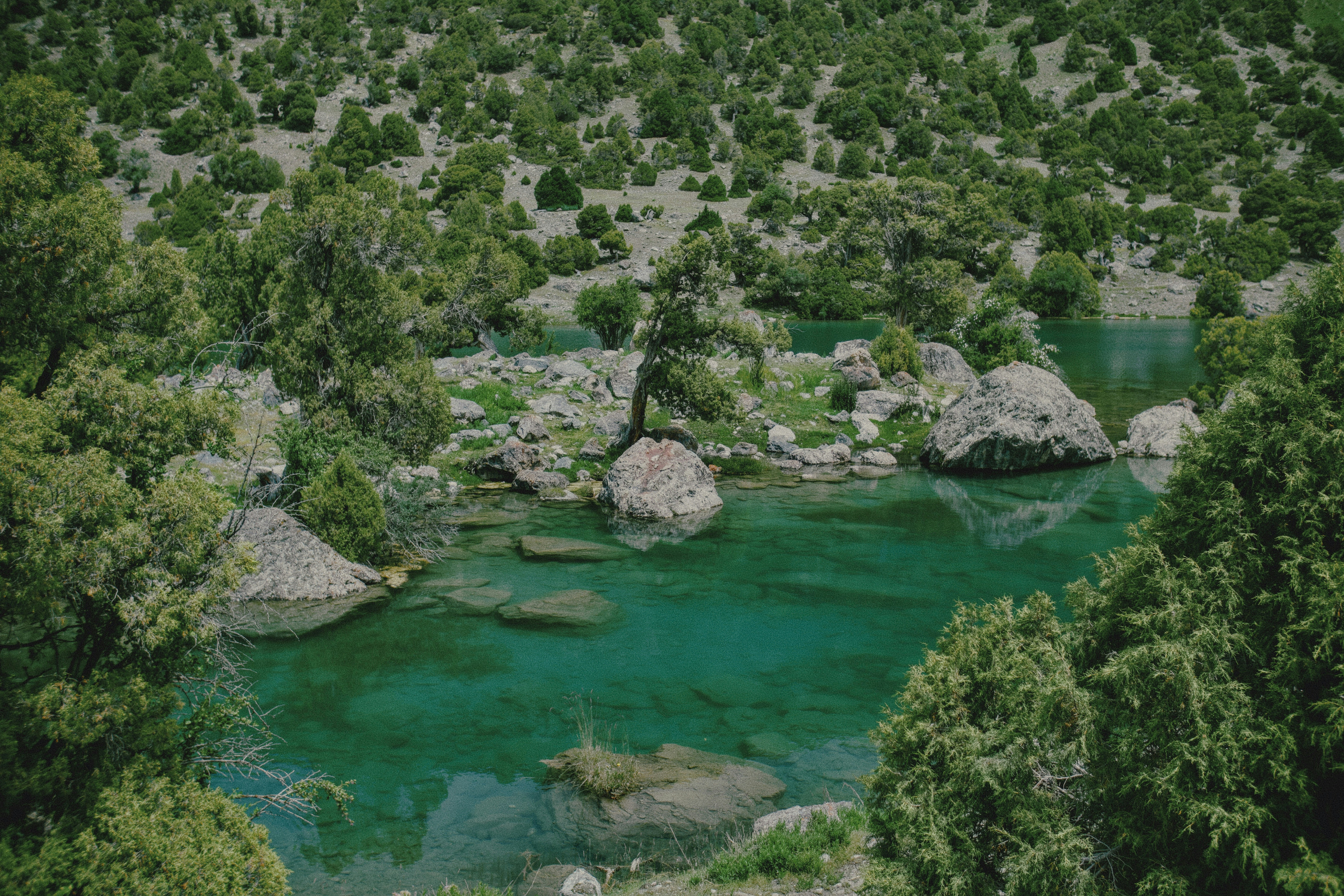 Emerald Canyon: A Quiet River Bordered by Pine and Stone