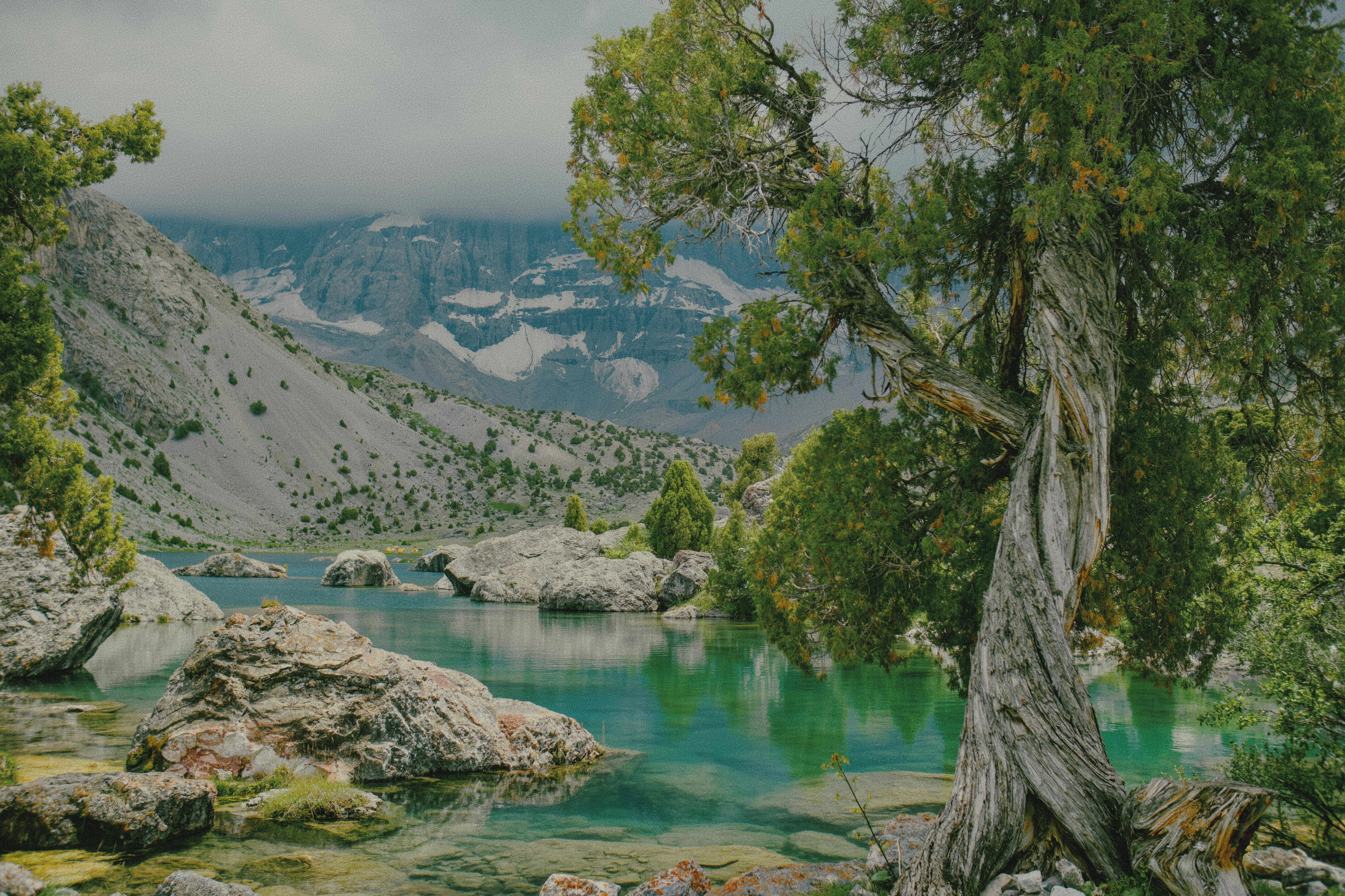 Emerald Lake Between Ancient Pines and Looming Peaks