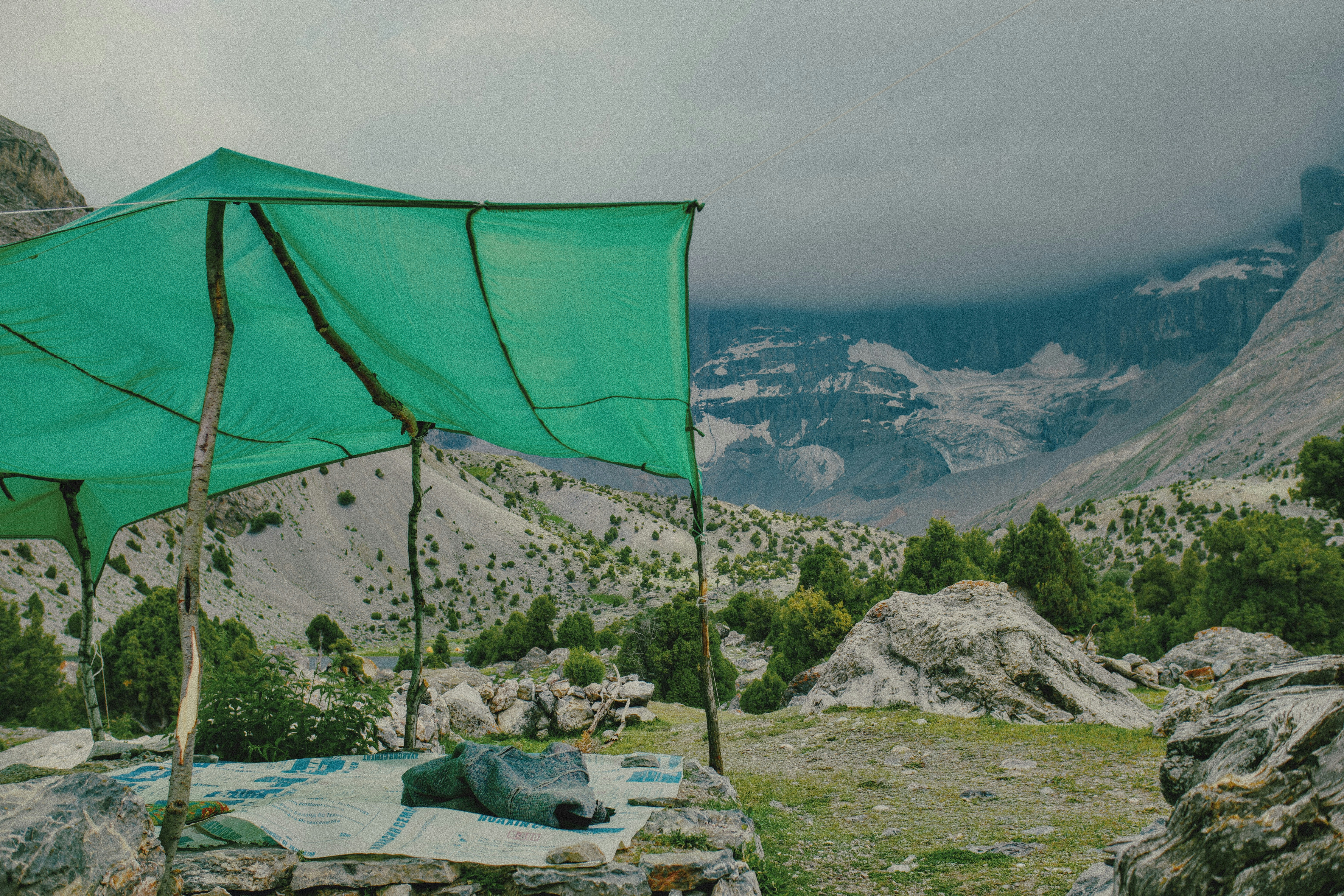 Green Canopy Over Rocky Silence