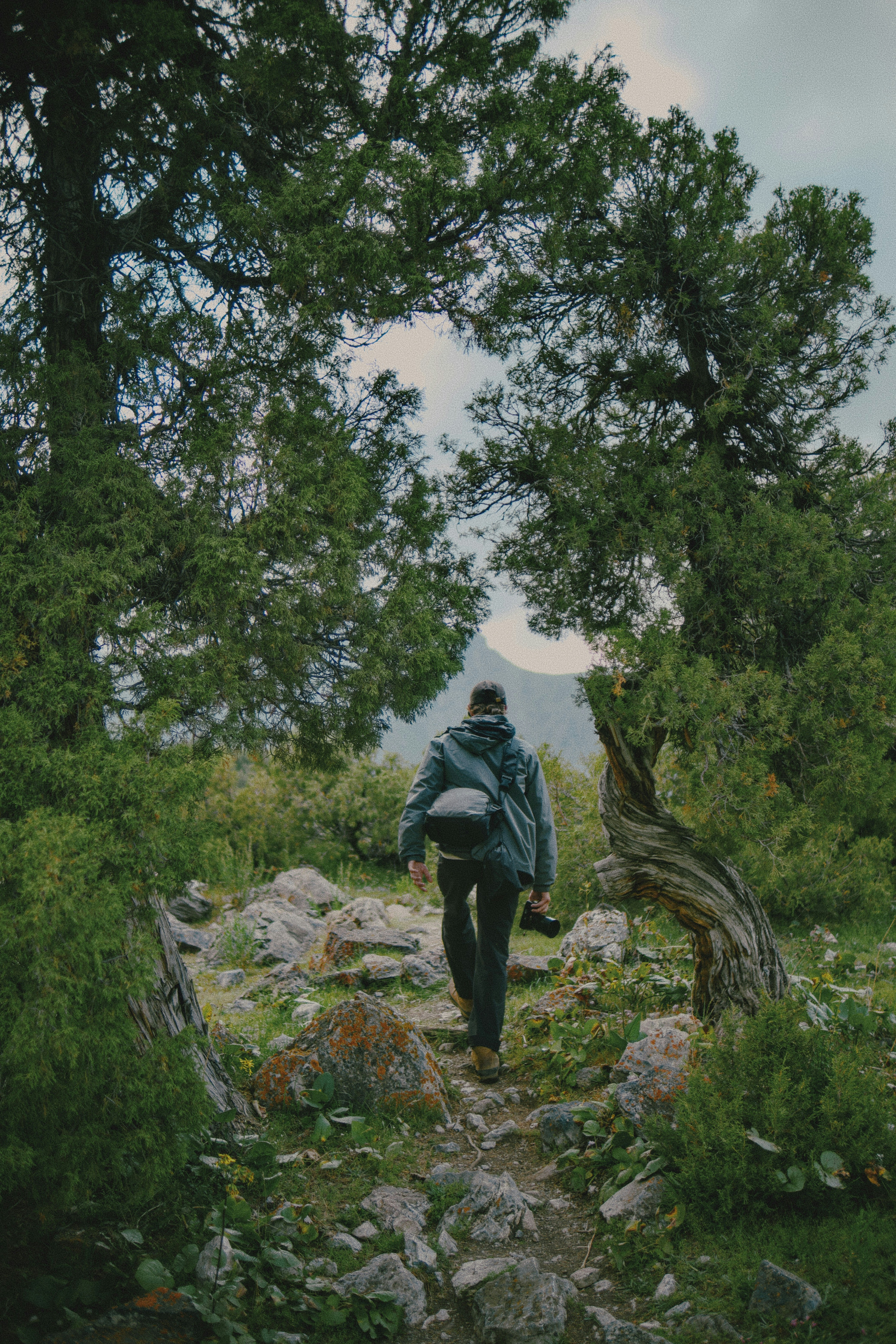 Trail to the Hidden Peak