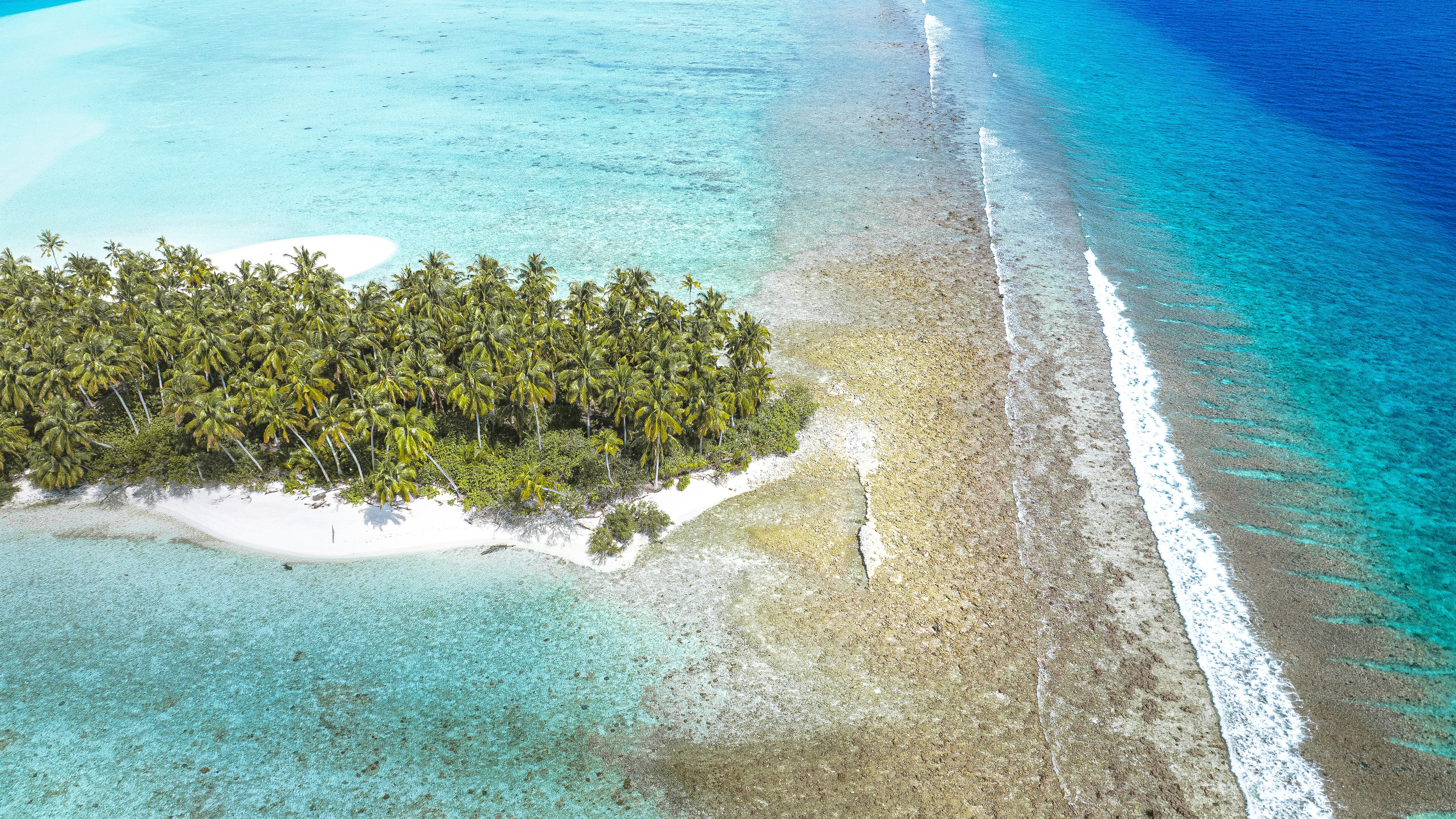 Aerial view of a palm-fringed islet surrounded by turquoise and deep blue waters, with a shallow sandbar and a narrow fringing reef creating a vivid coastal contrast.