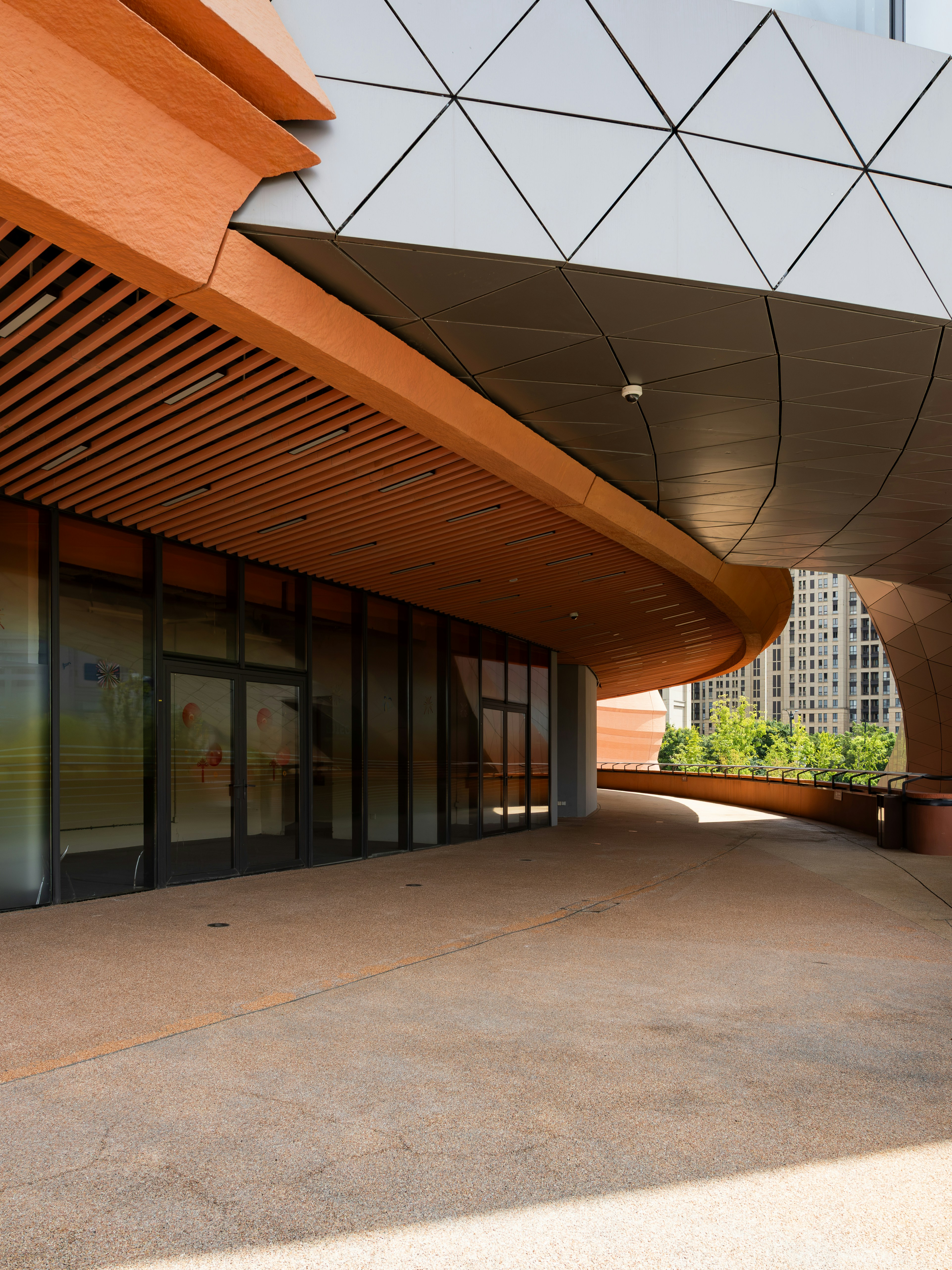 Curved Canopy Echoes Through a Modern Transit Corridor