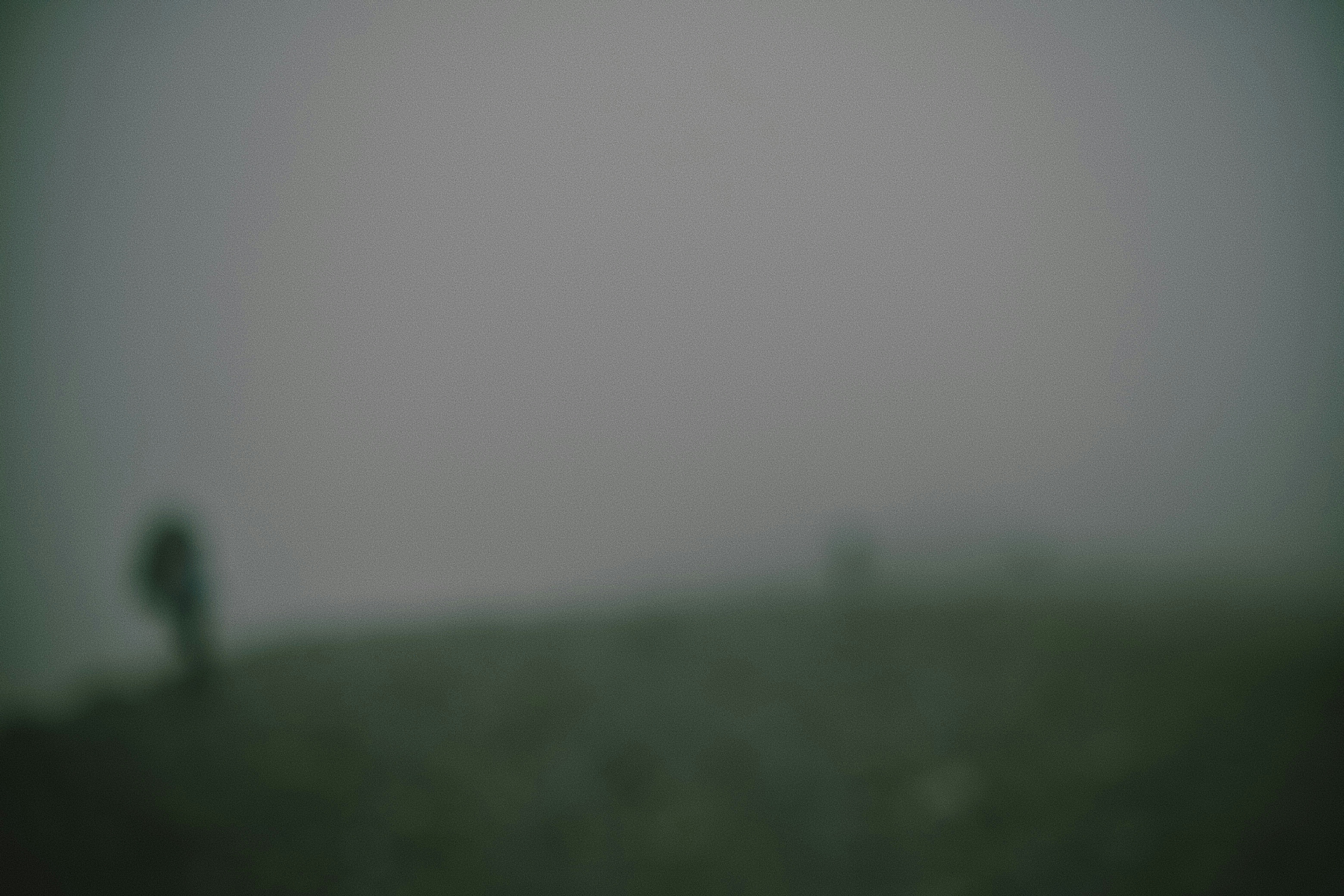 Fogbound Outline: A Lone Figure on an Uncertain Horizon