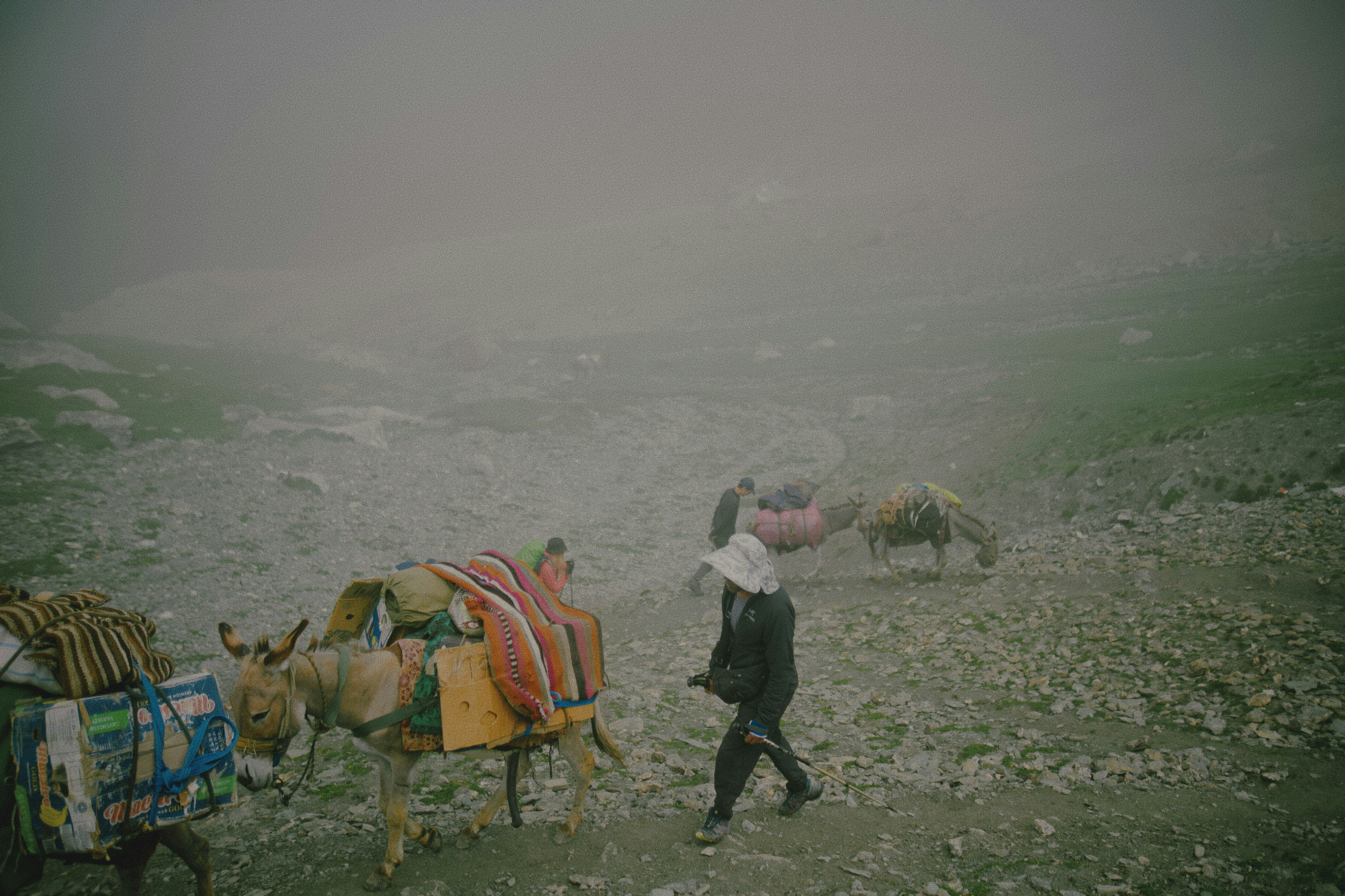 Dusty Caravan Crossing: A Hushed Mountain Trail