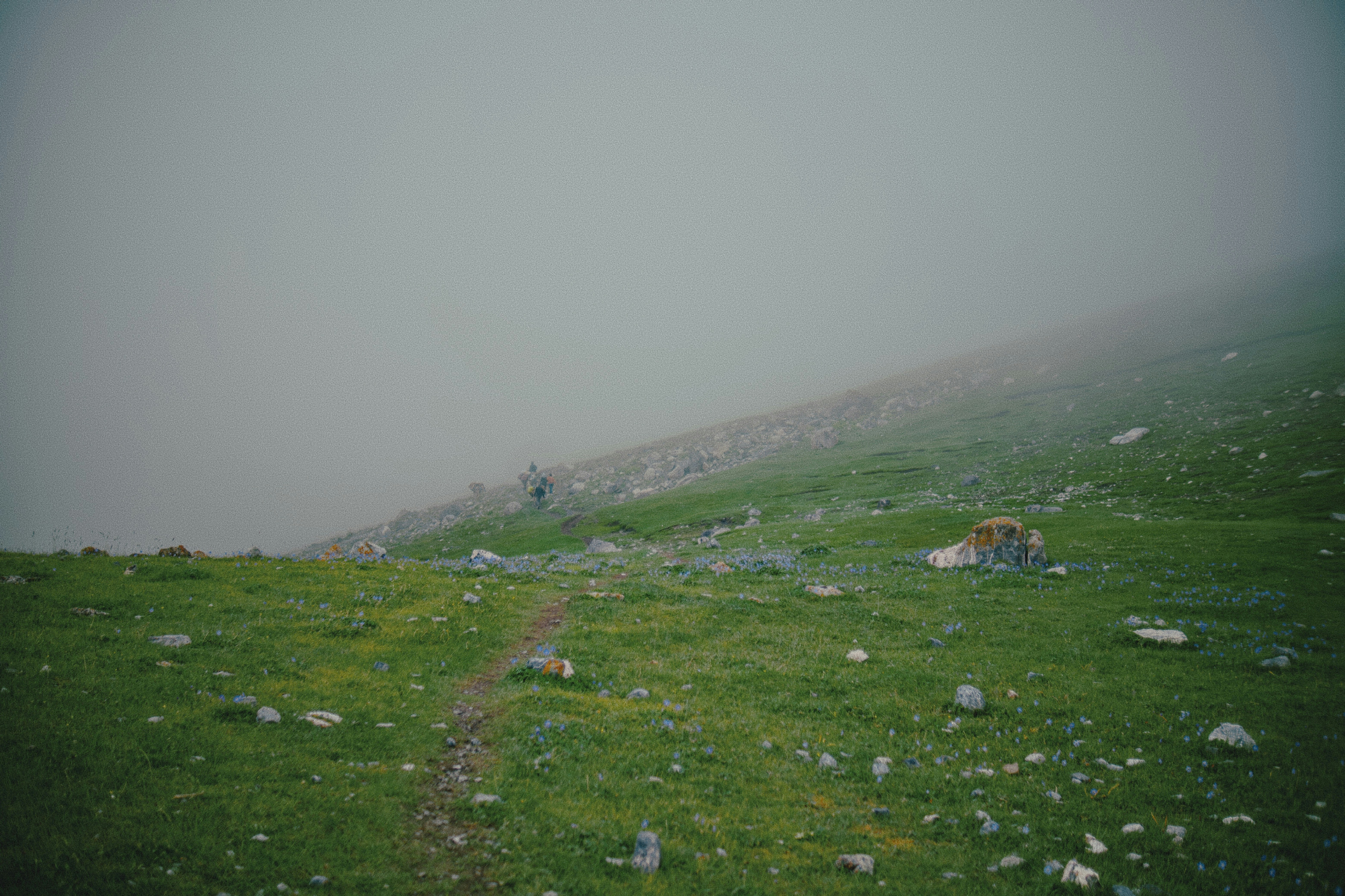 Misty meadow ascent: a lone trail through green slopes