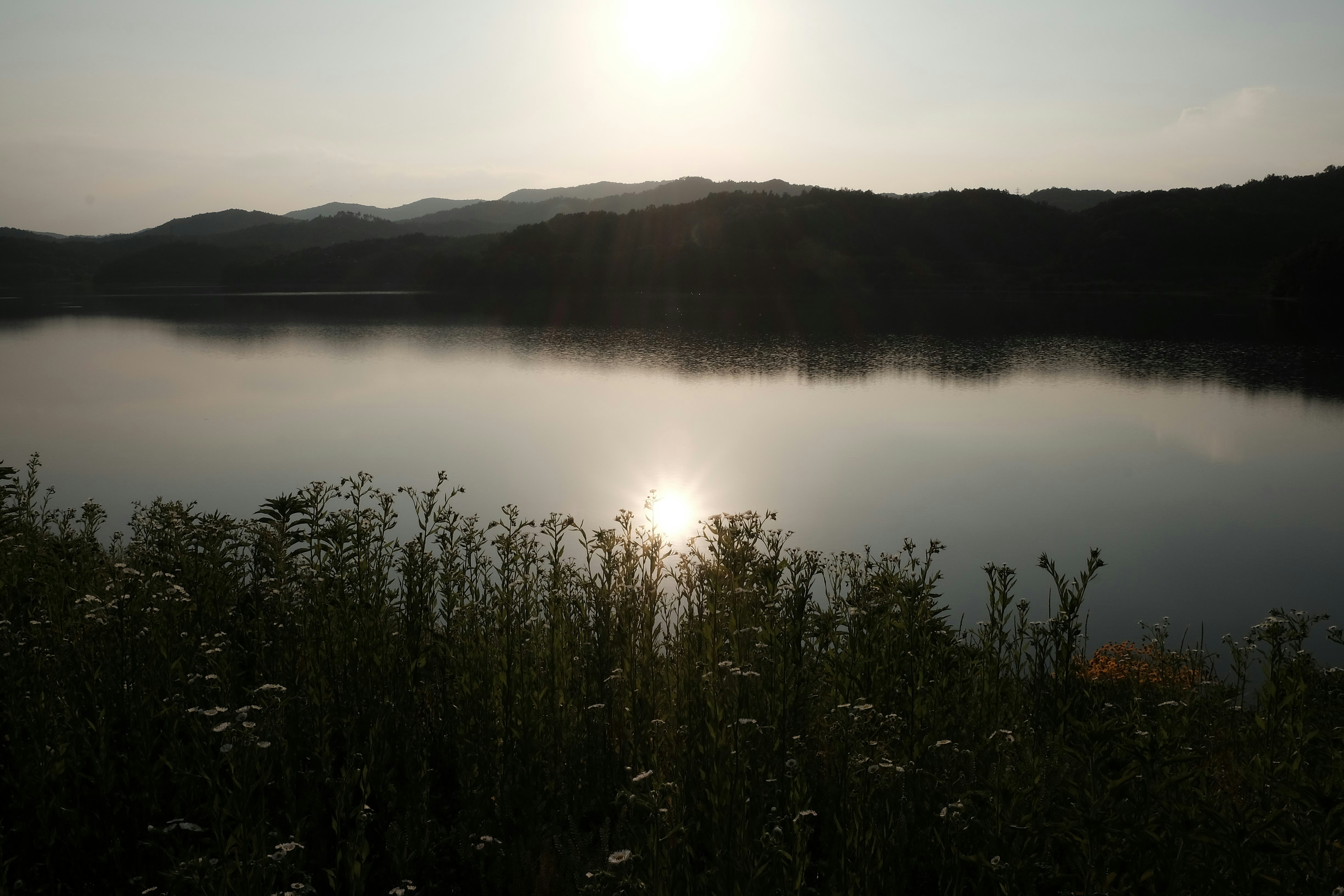 Dawn on the Serene Lake: Quiet Reflections Across the Horizon
