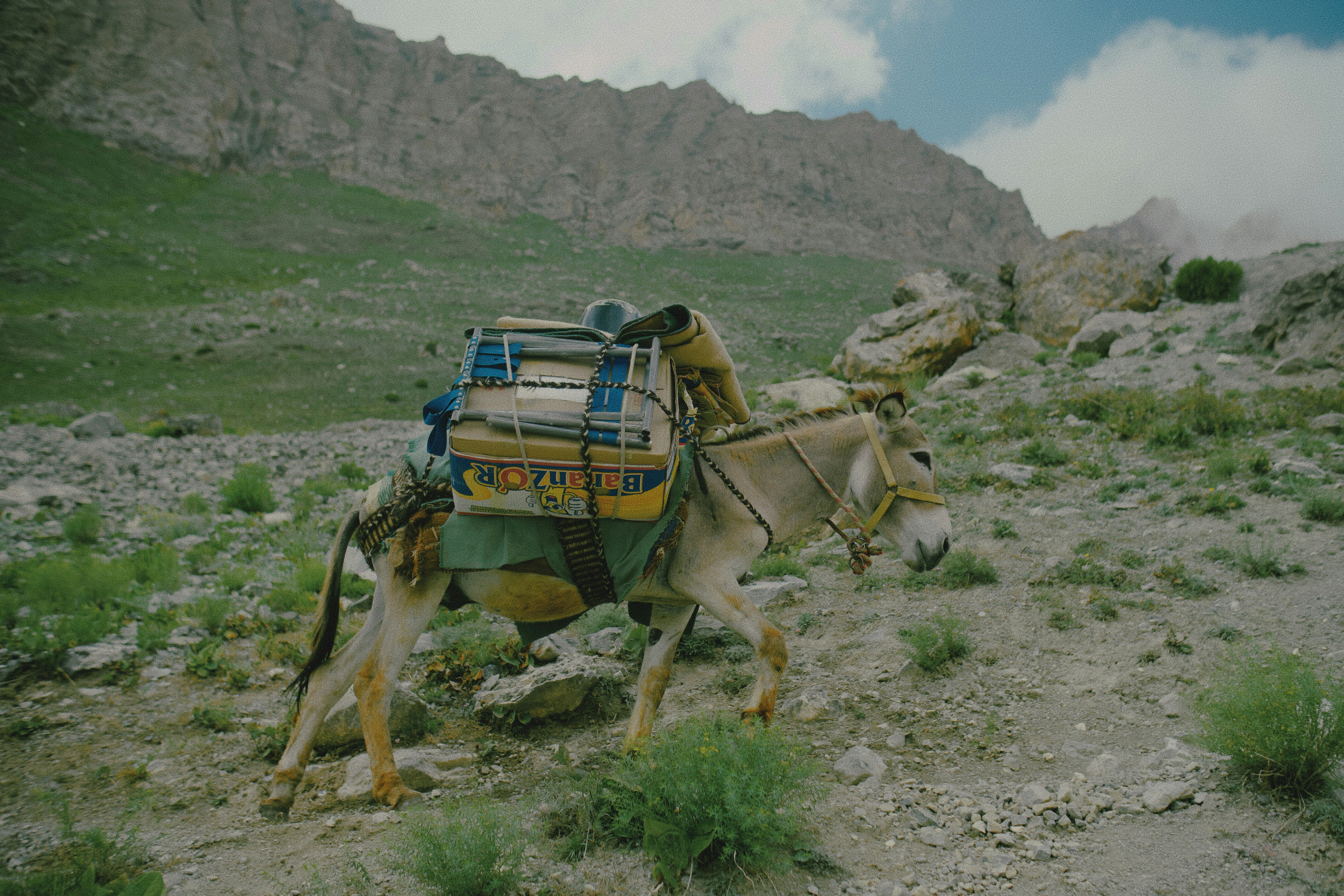 Pack Mule on a Rocky Ascent under a Bright Sky