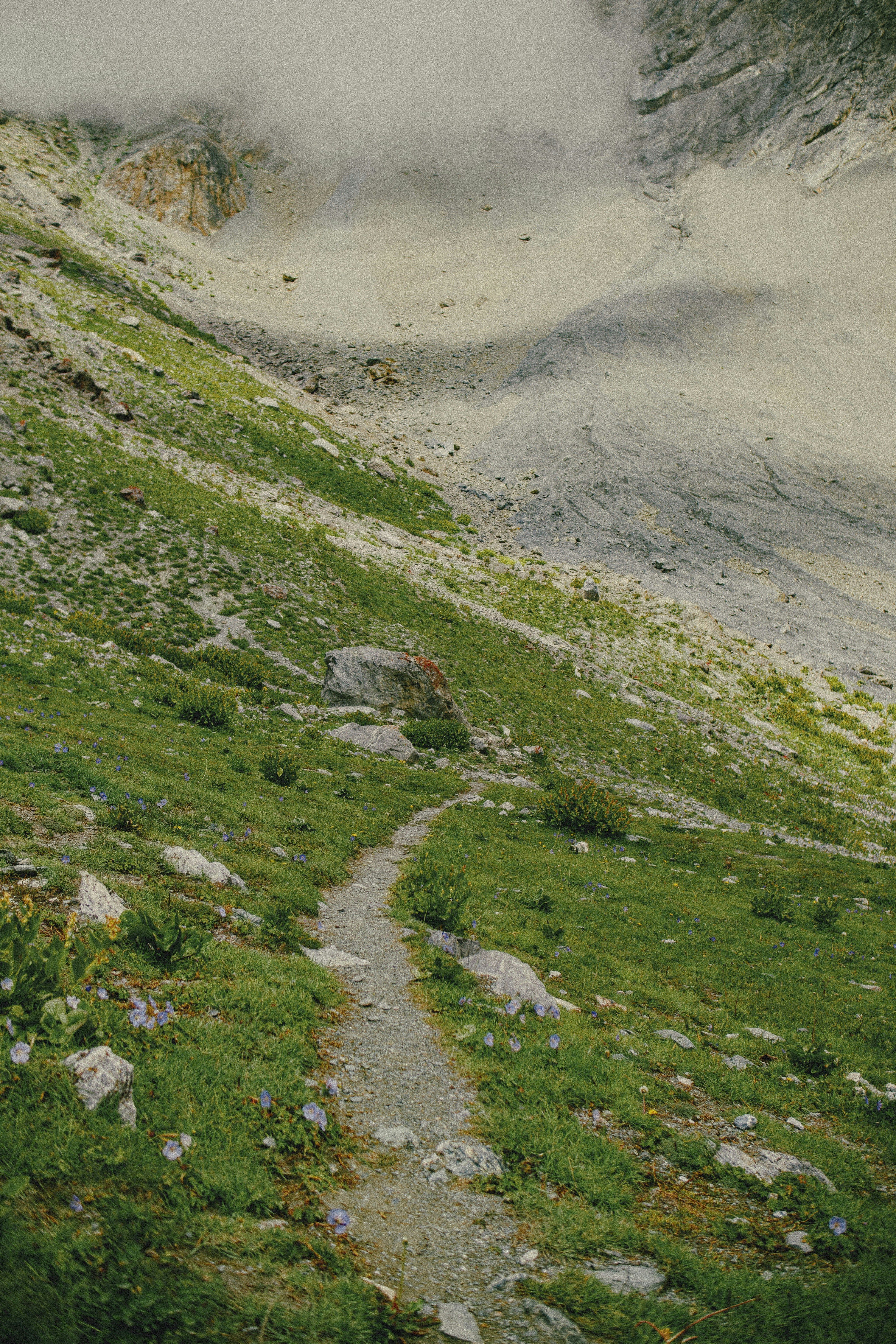 Trail through a alpine meadow toward steaming volcanic slope