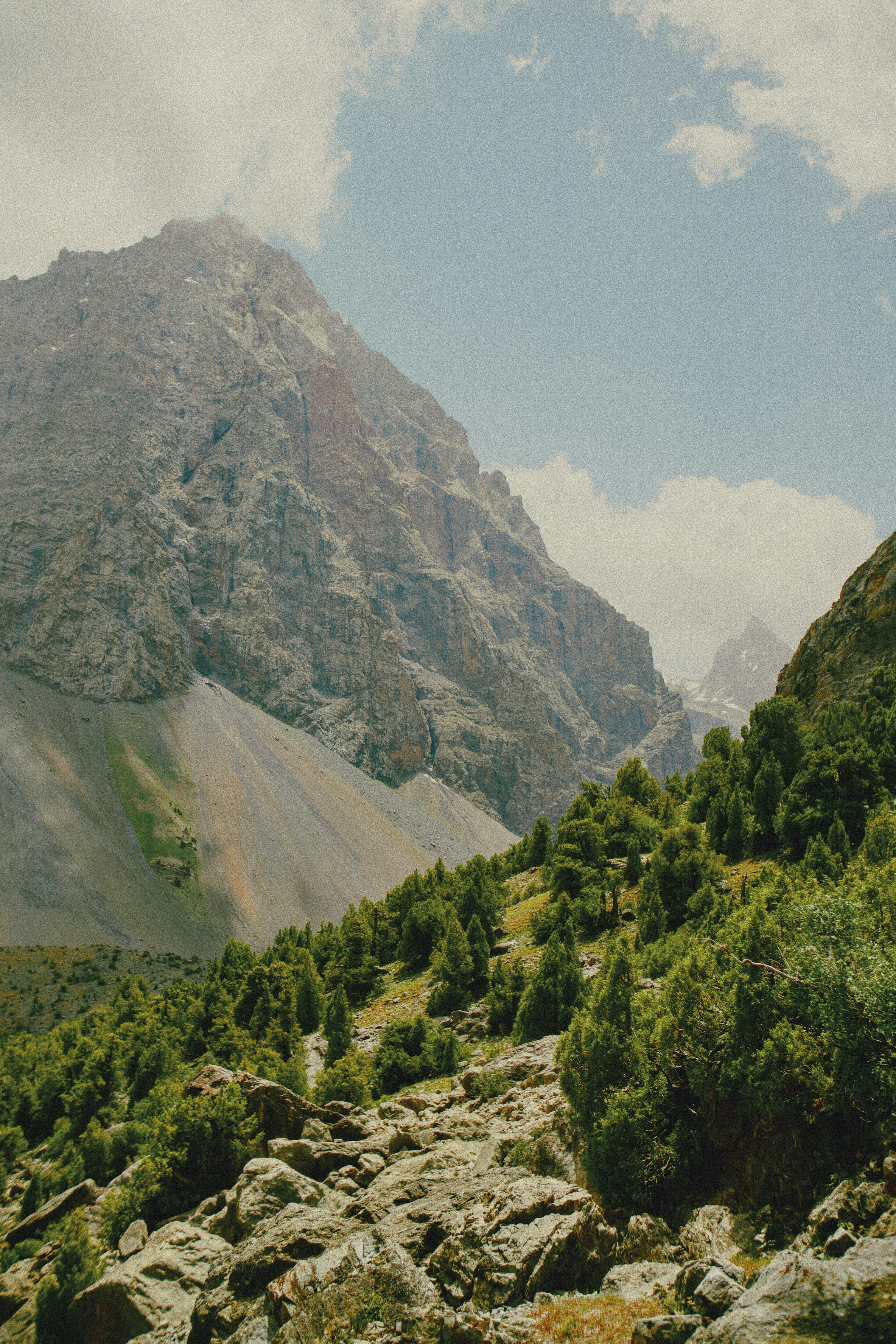 Rugged Peak Overlook: Pine Cliffs Above a Alpine Riverbed