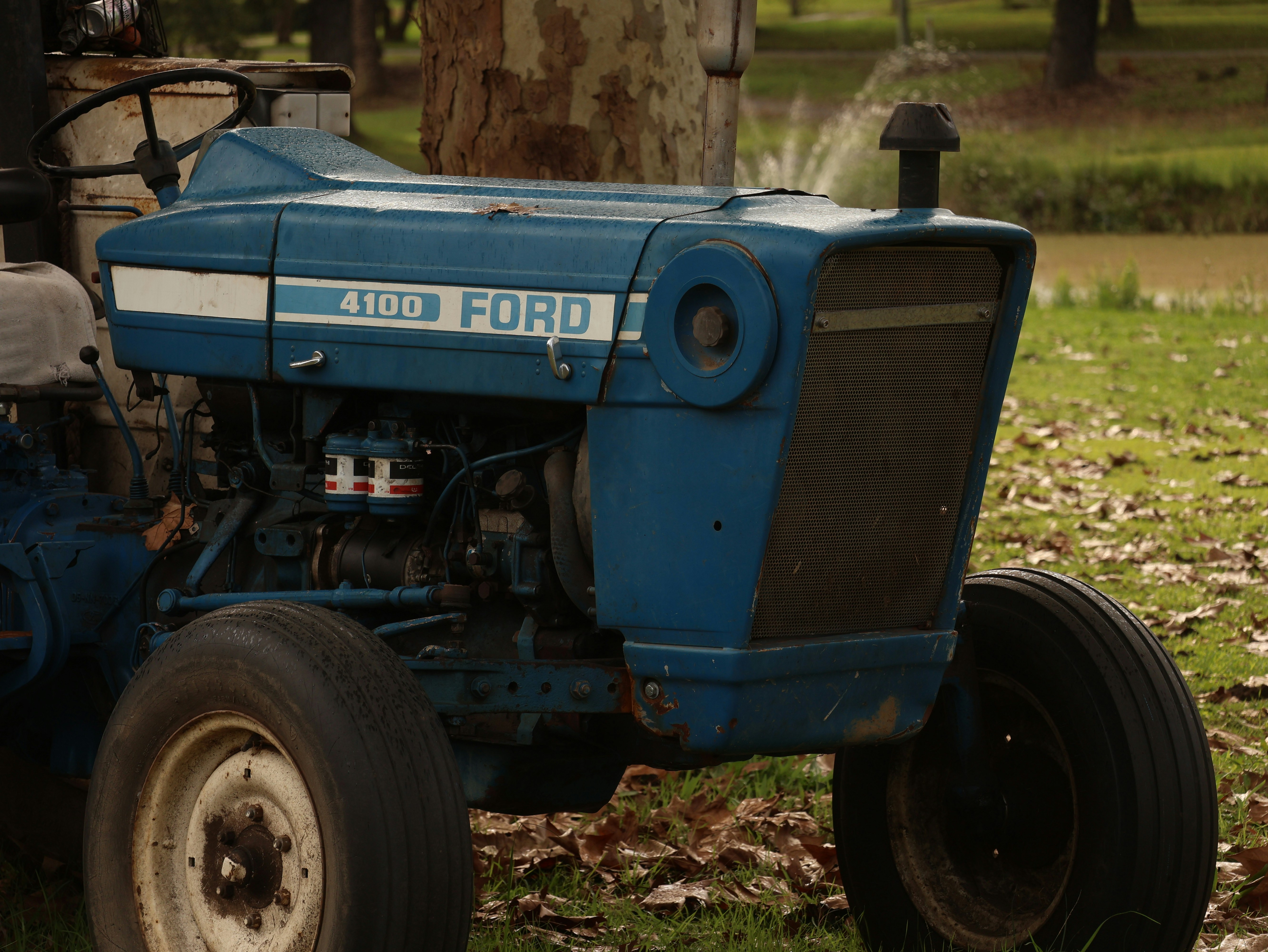 Blue Ford Tractor Resting Under Orchard Shade