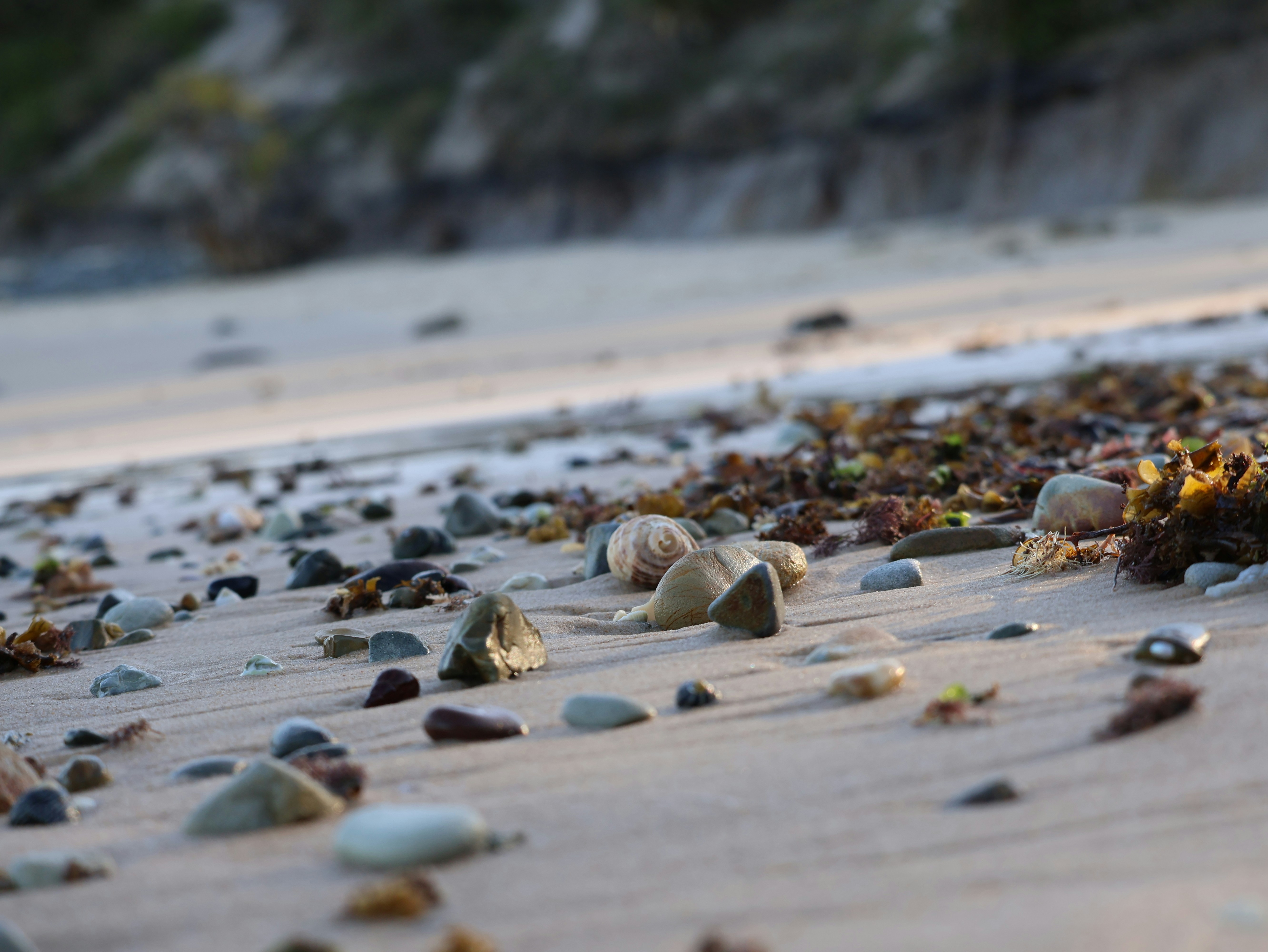 Pebble Mosaic on a Serene Shore