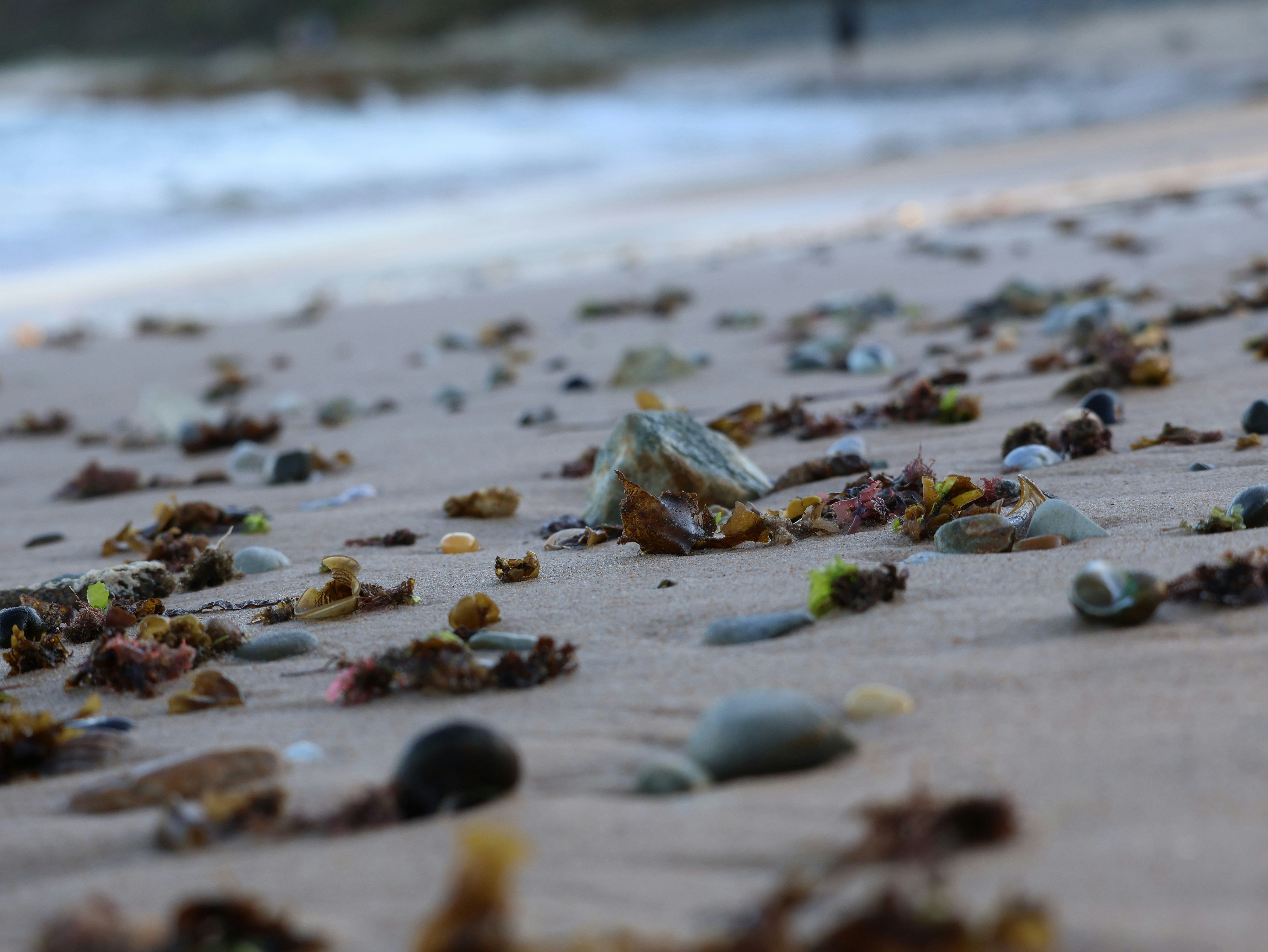 Pebble Parade on a Quiet Shore