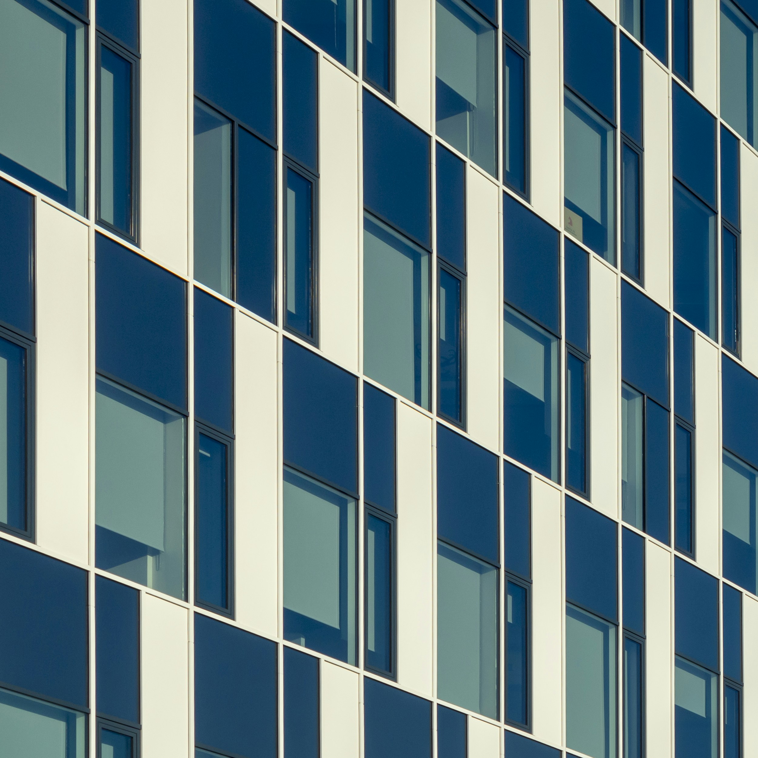 Diagonal Glass: A Checkered Facade in Quiet Rhythm