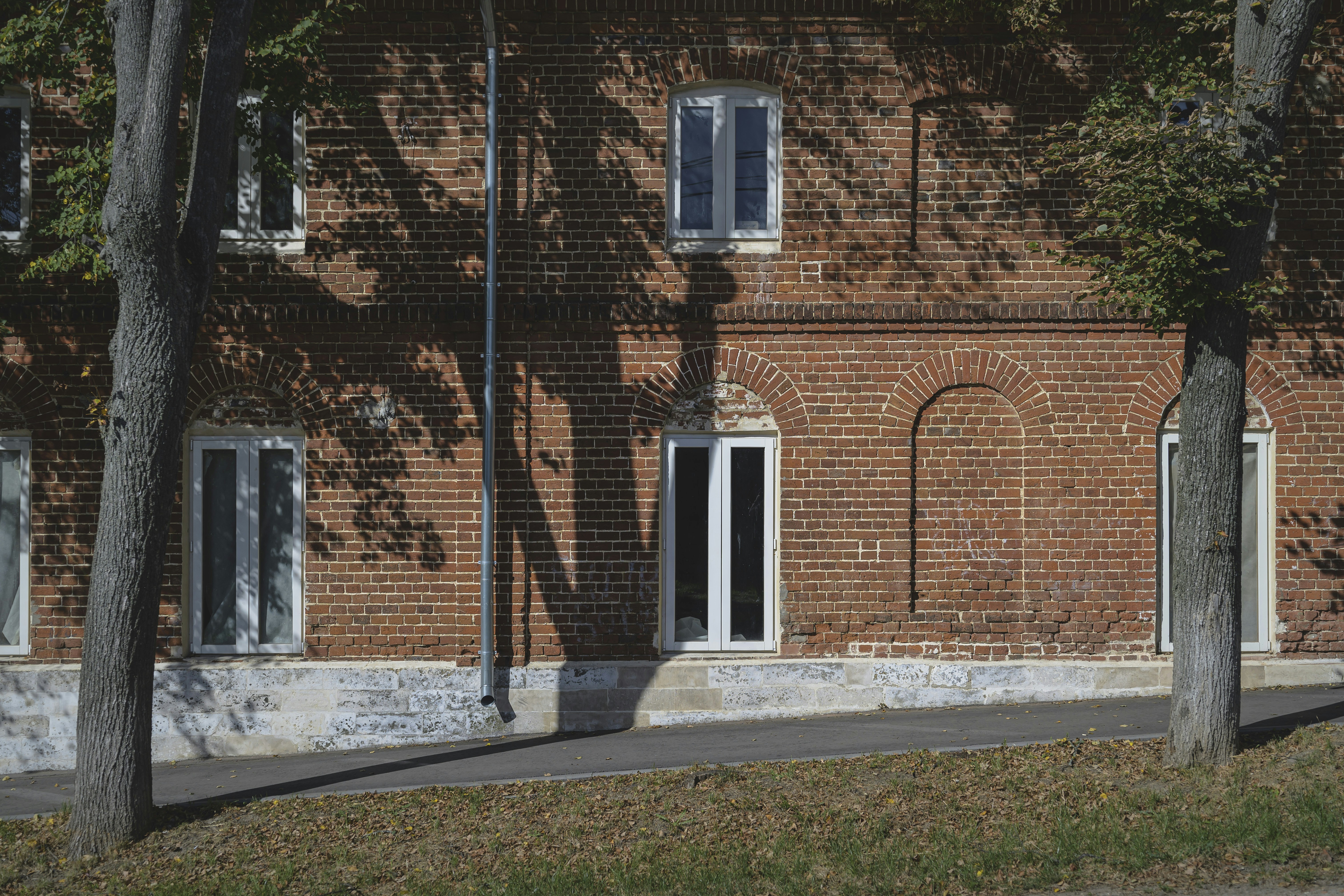 Brick Facade with Cast Shadows and Tree Framing