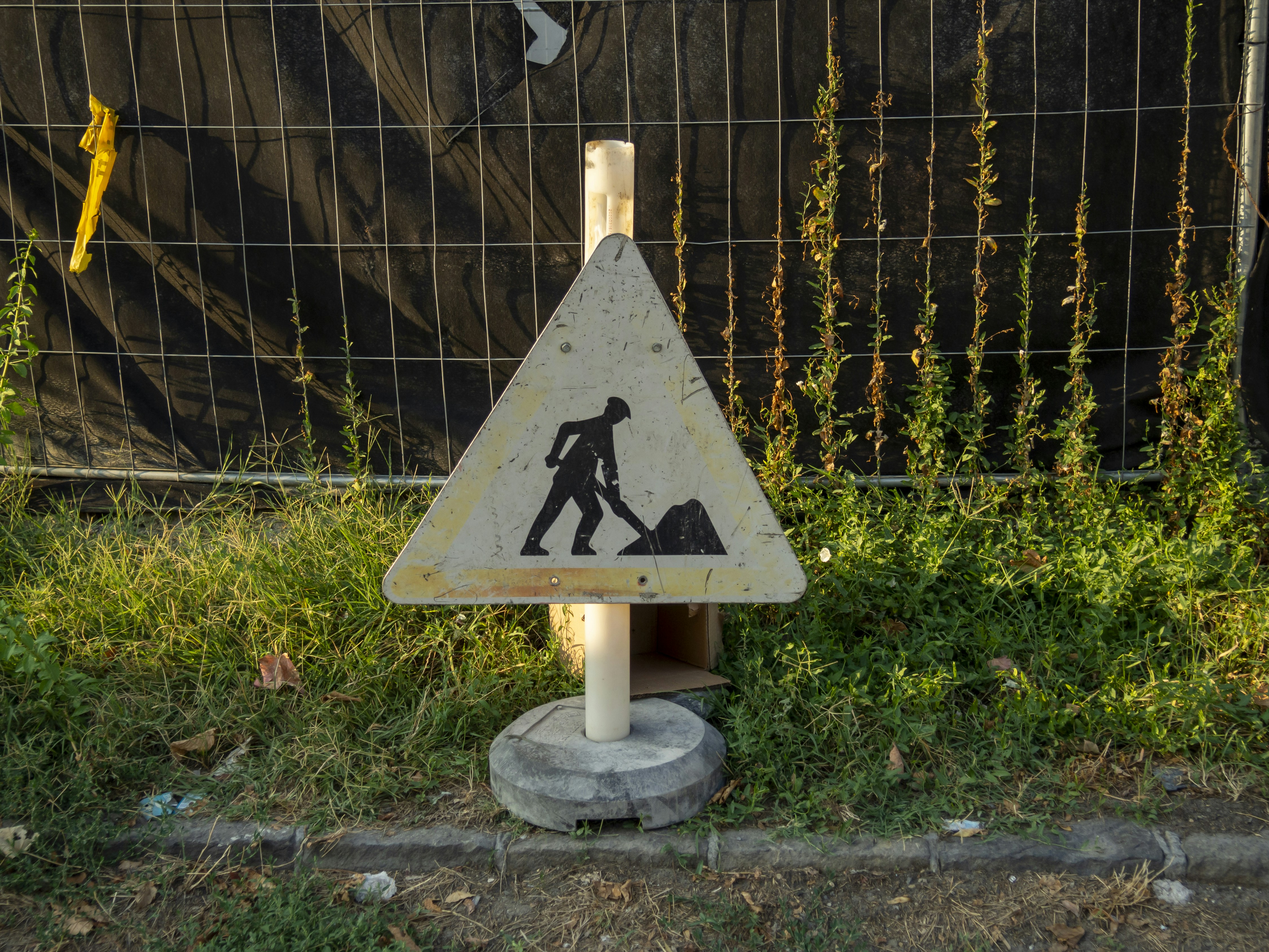 Work in Progress: A Quiet Construction Sign Guarded by Overgrown Grass