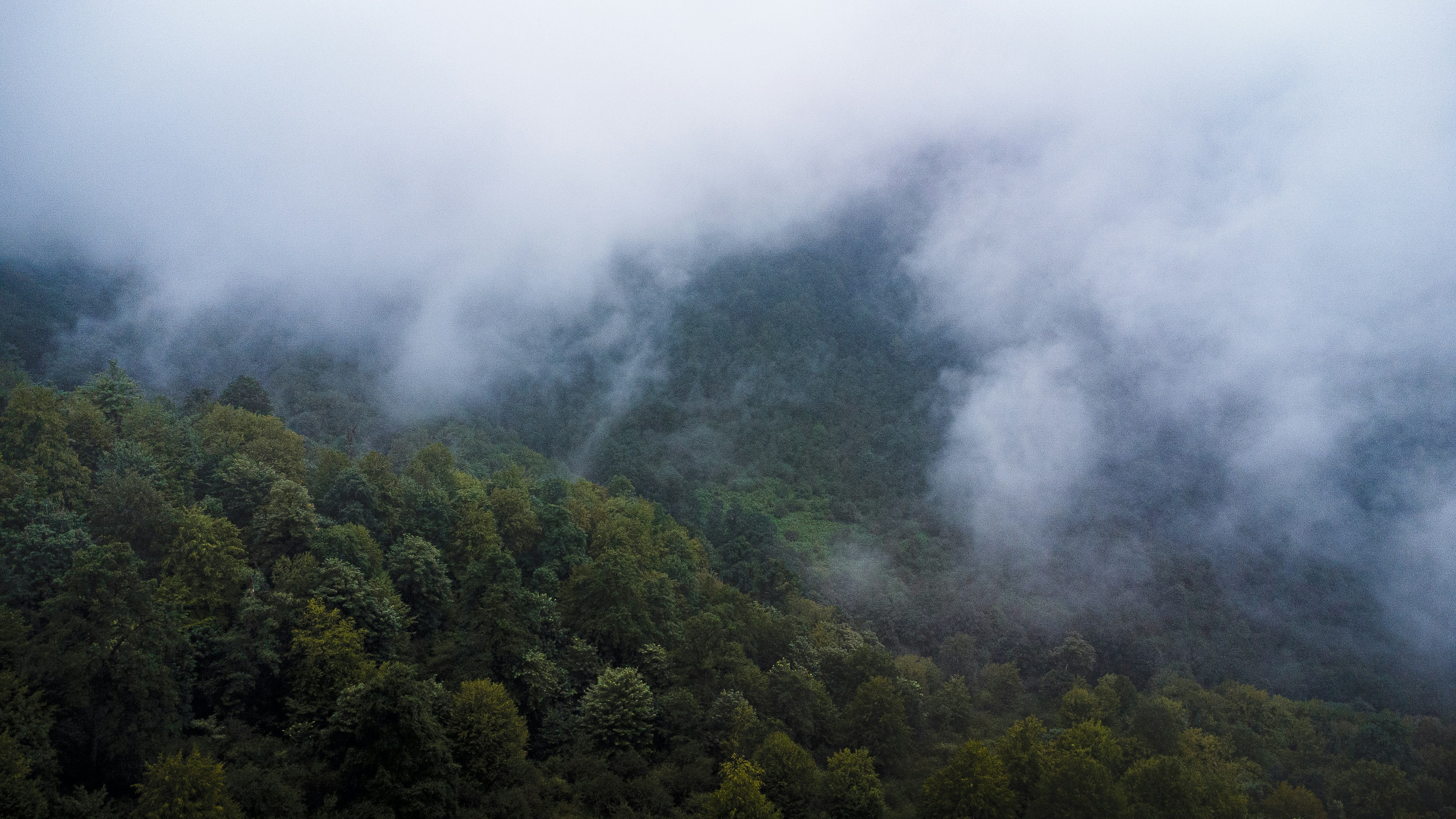 Mist-Laced Ridge: Forested Contours Under Low Clouds